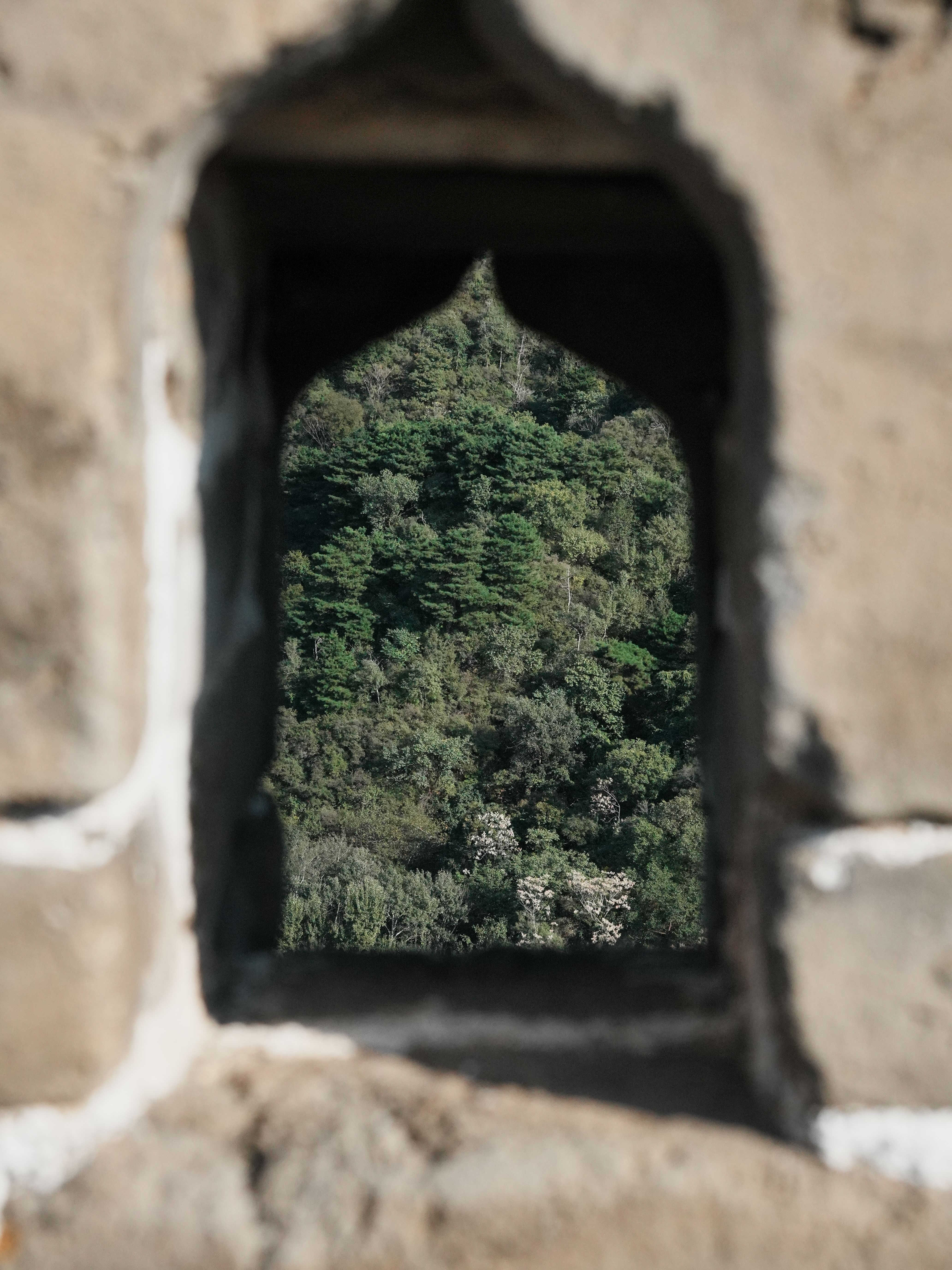Forest View Through Stone Archway · Free Stock Photo
