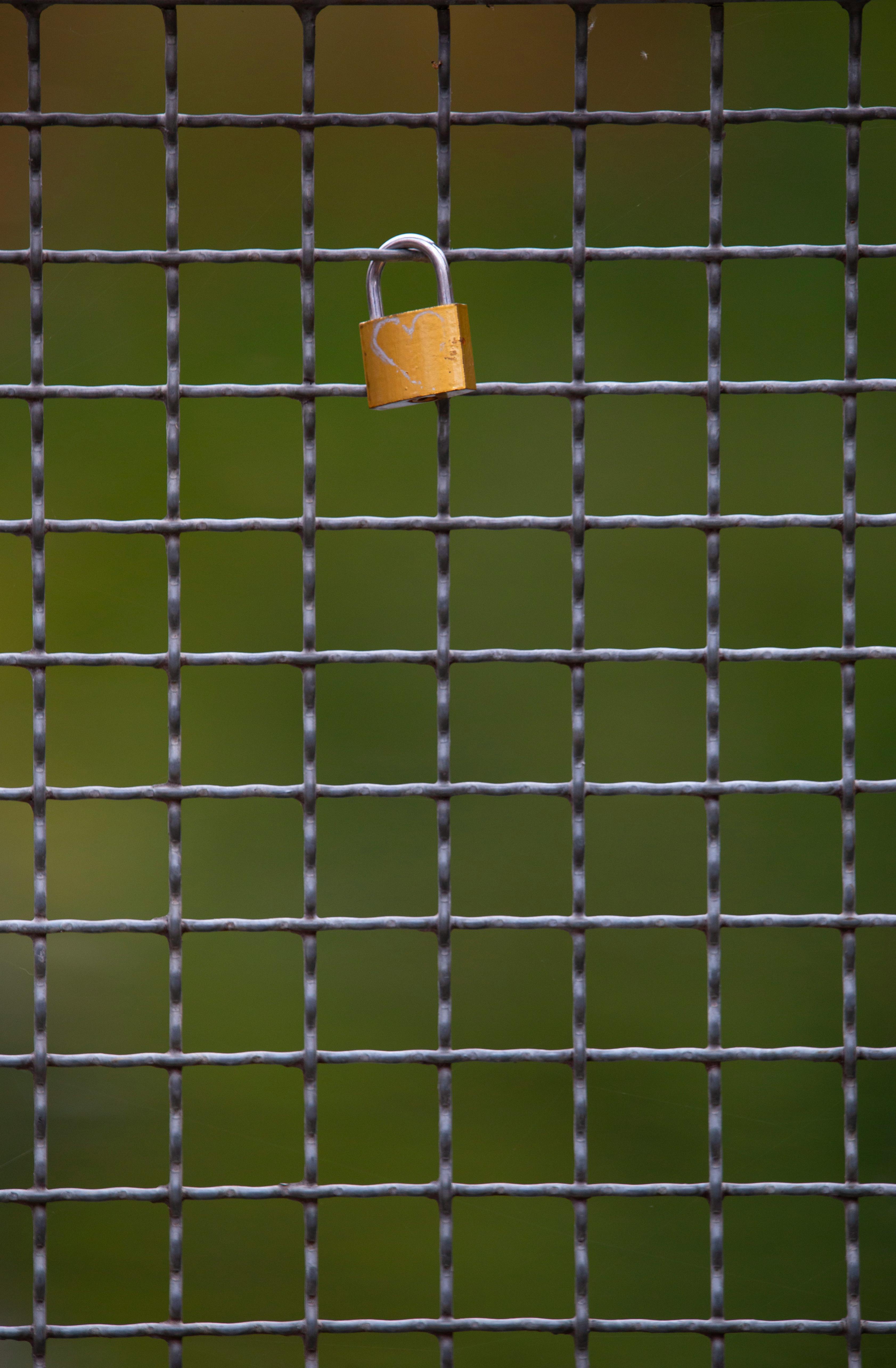 Le 100.000+ migliori foto di What-is-heif-image-file-format · Download ...