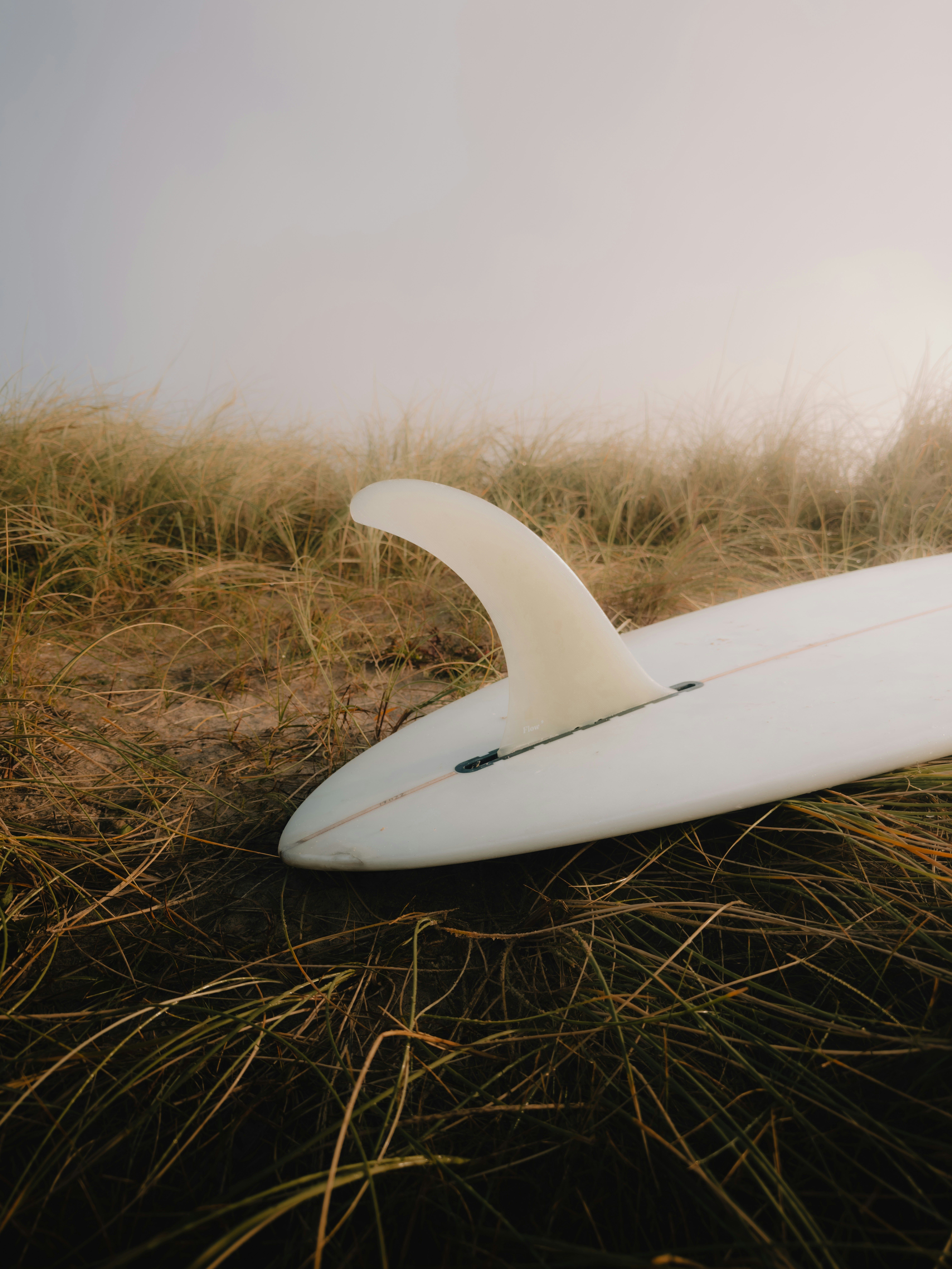 Surfboard on Grassy Dunes in Denmark · Free Stock Photo