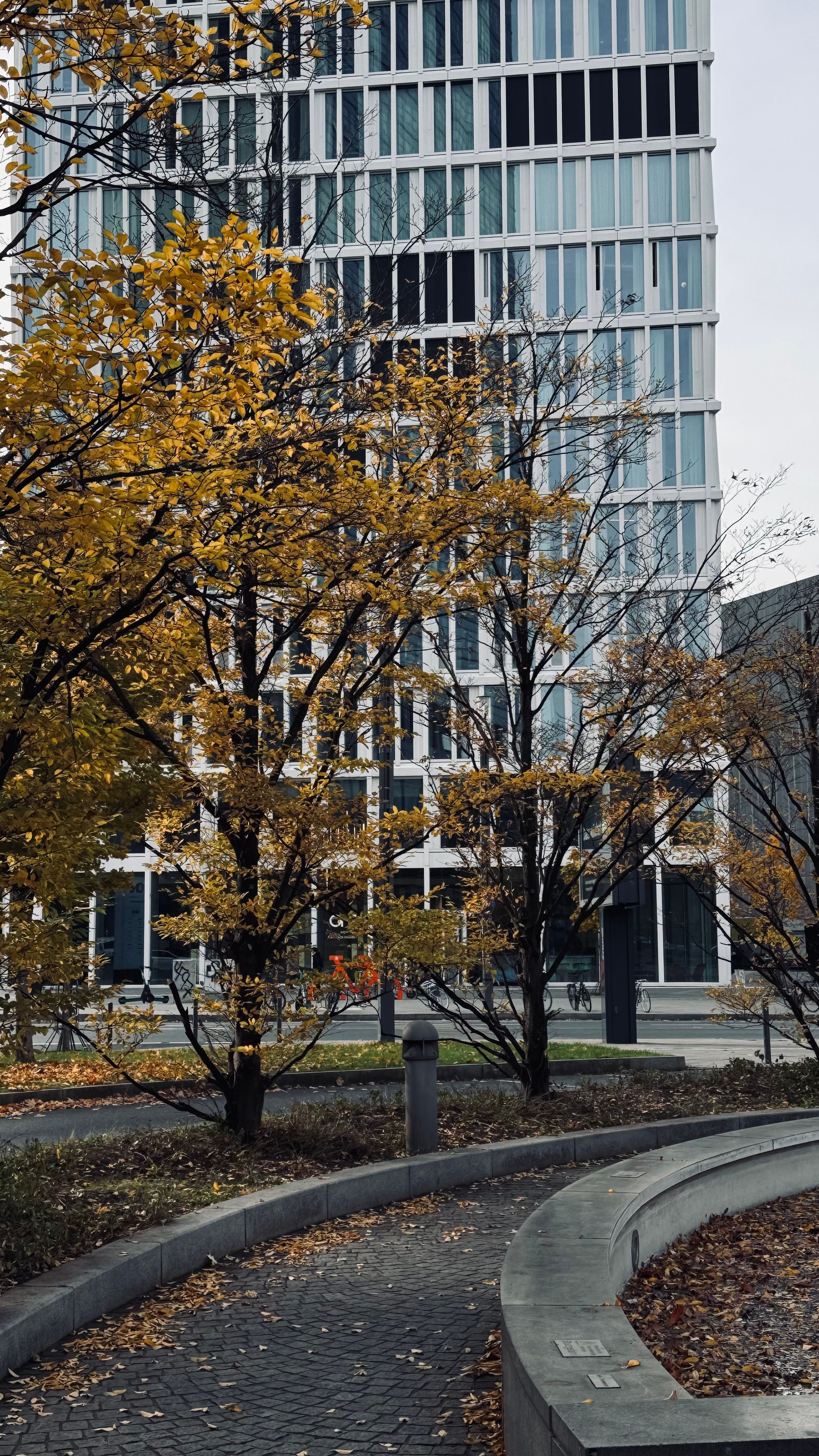 Modern Building with Autumn Foliage in Urban Park · Free Stock Photo