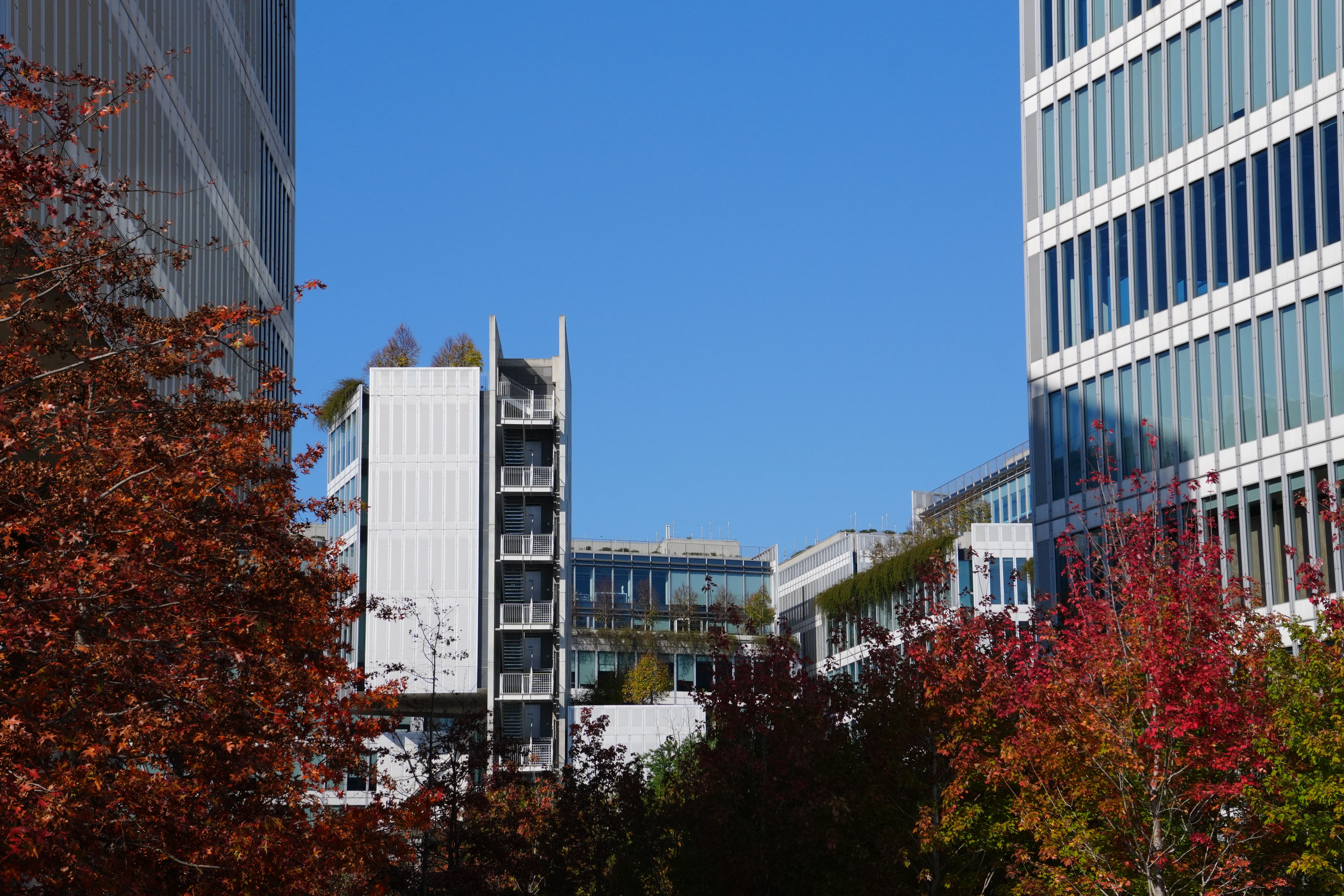 Modern Urban Architecture with Autumn Foliage · Free Stock Photo