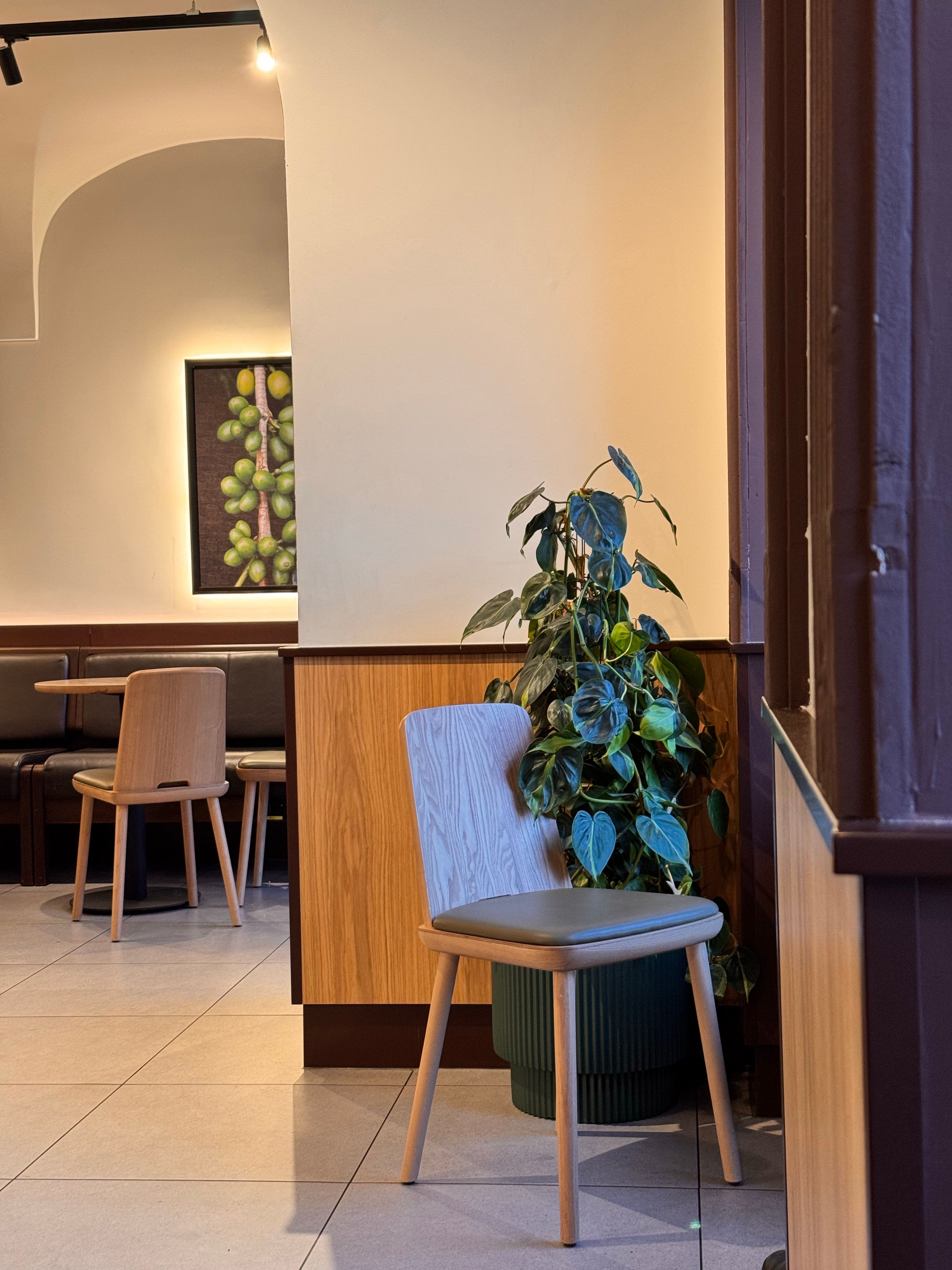 Cozy Modern Cafe Interior with Seating Area · Free Stock Photo