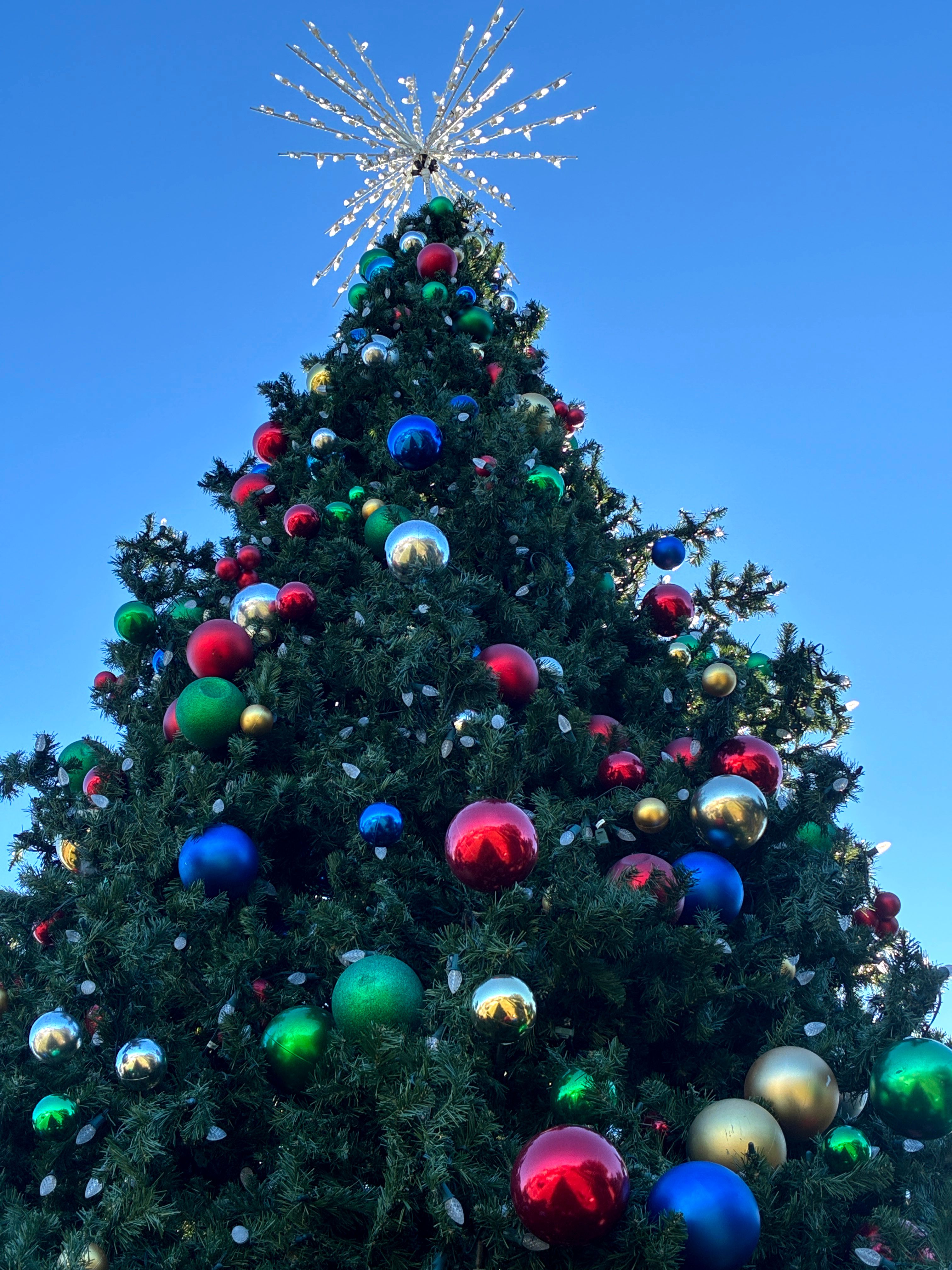 Festive Christmas Tree with Colorful Ornaments Outdoors · Free Stock Photo