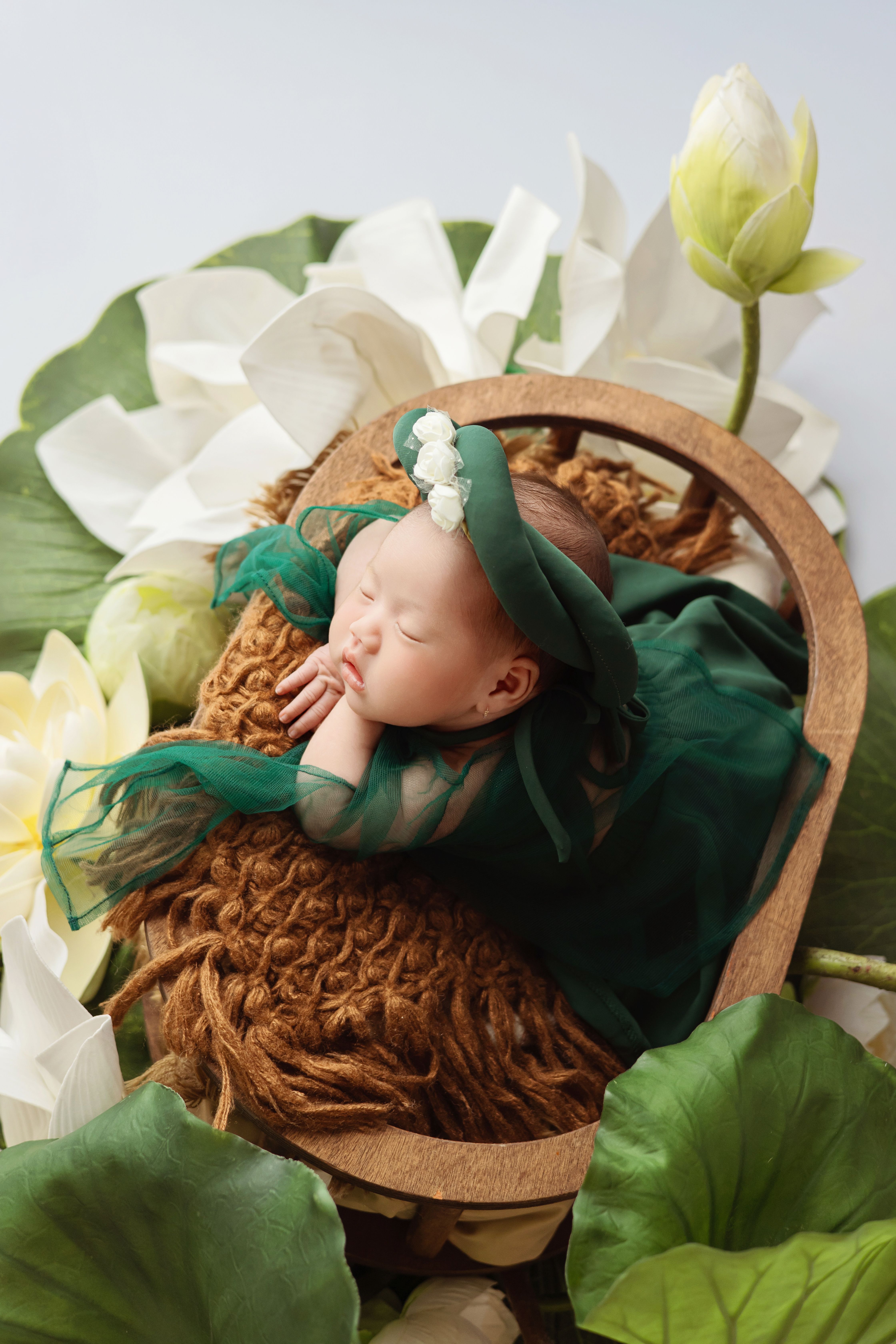 Lotus Flower Baby Photos, Download The BEST Free Lotus Flower Baby ...