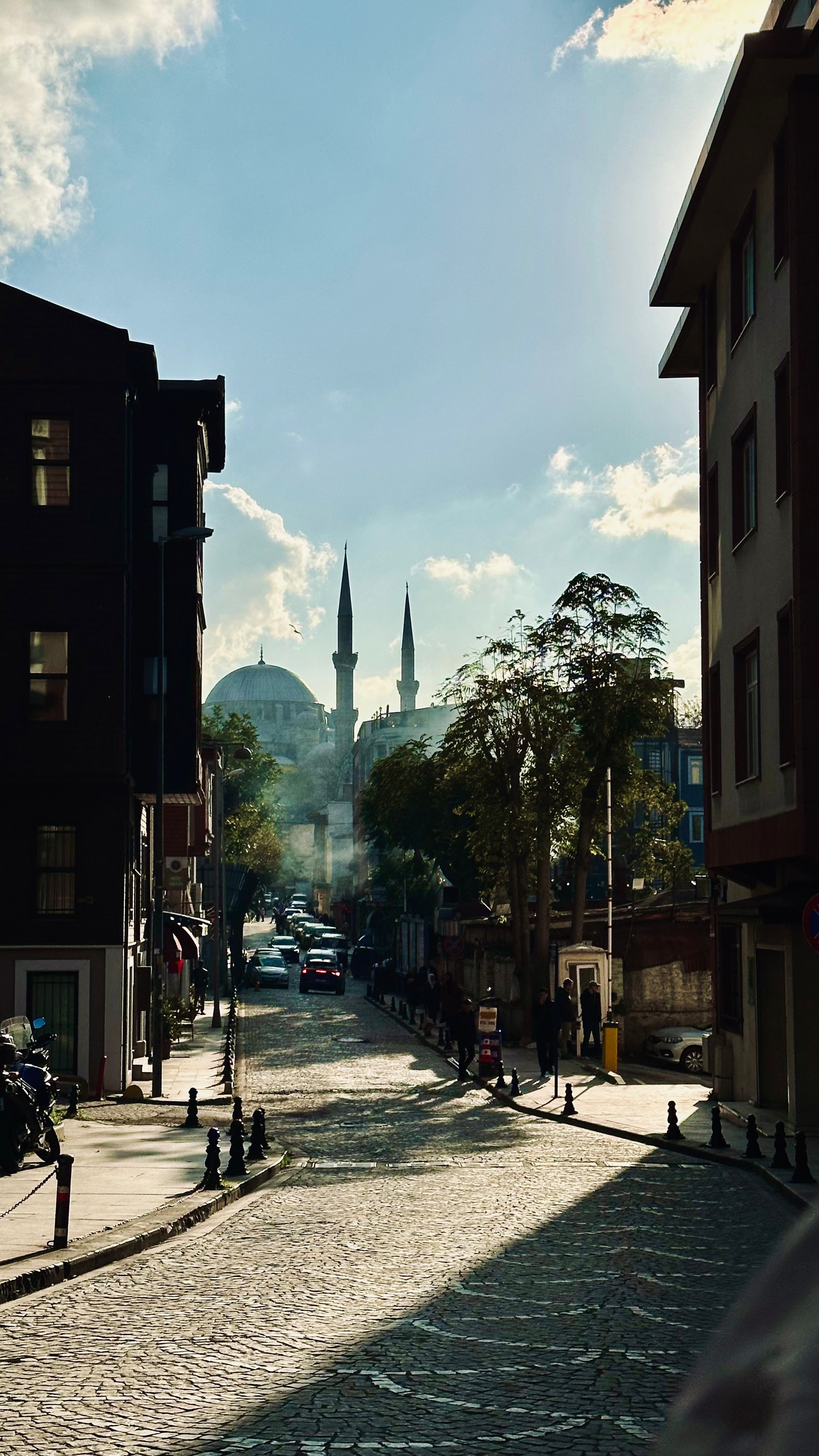 Charming Istanbul Street with Mosque View · Free Stock Photo