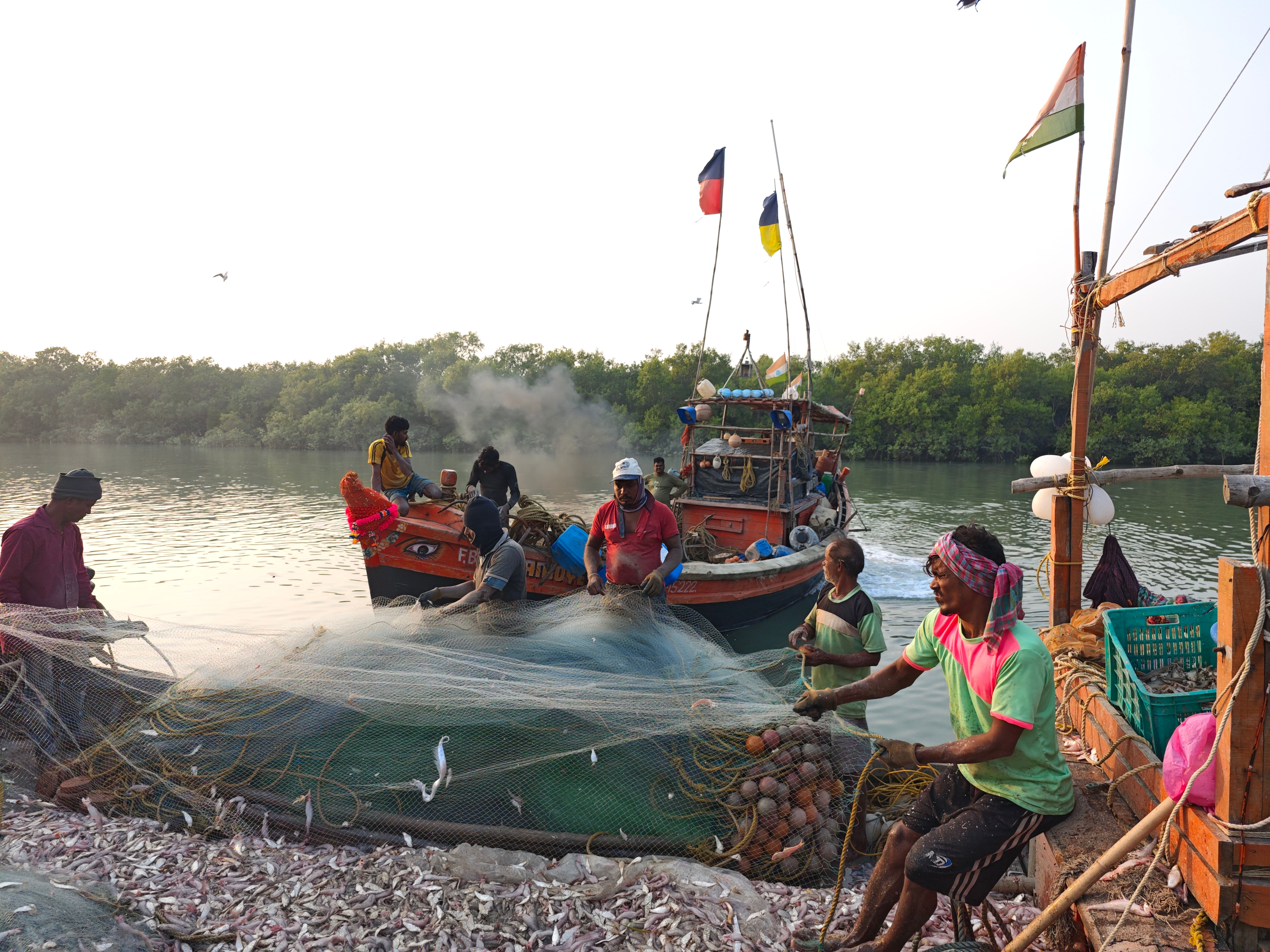 Fishermen hauling a net full of fish on a river · Free Stock Photo