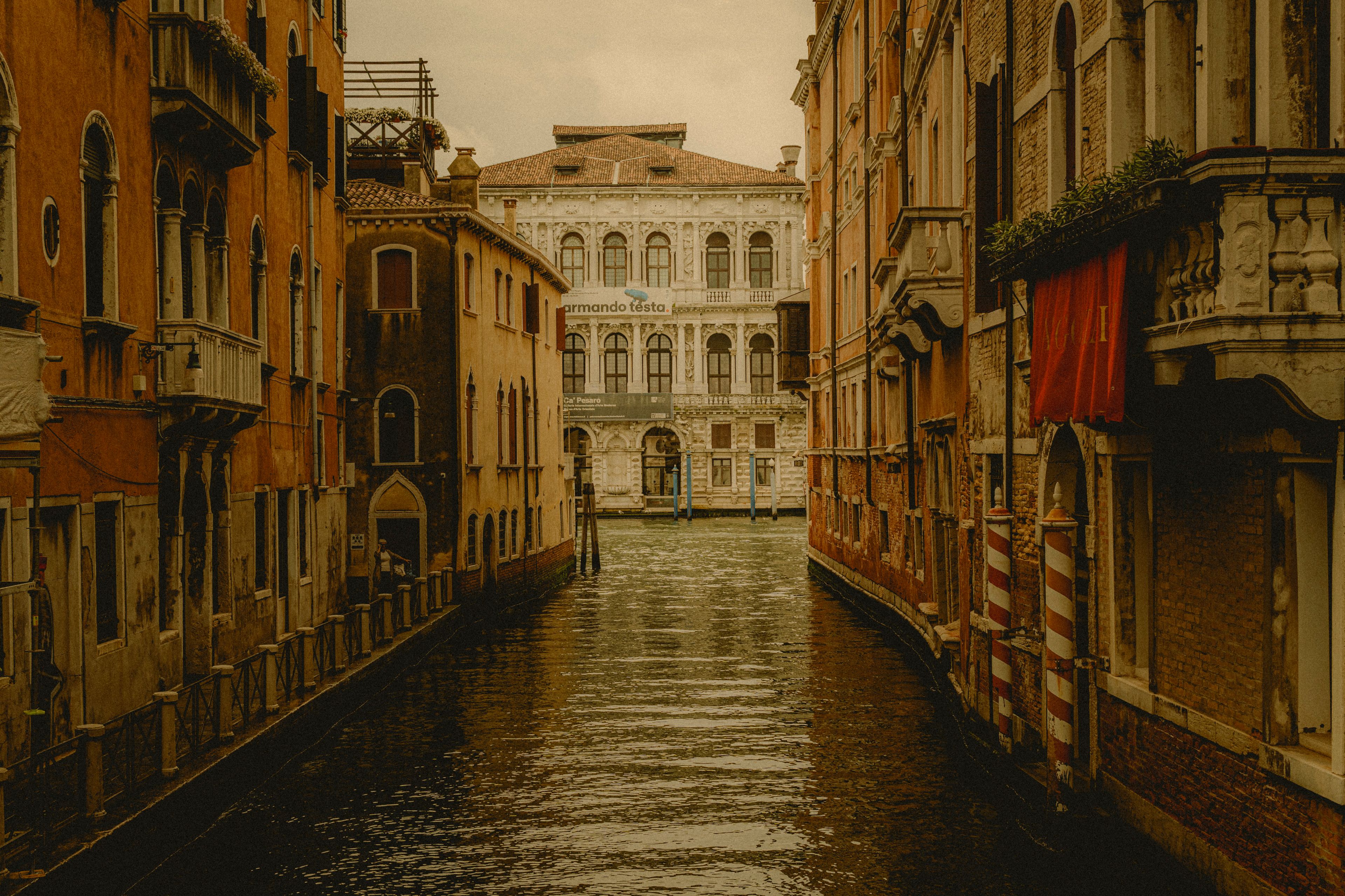 Portraet Testa Photos, Download The BEST Free Portraet Testa Stock ...