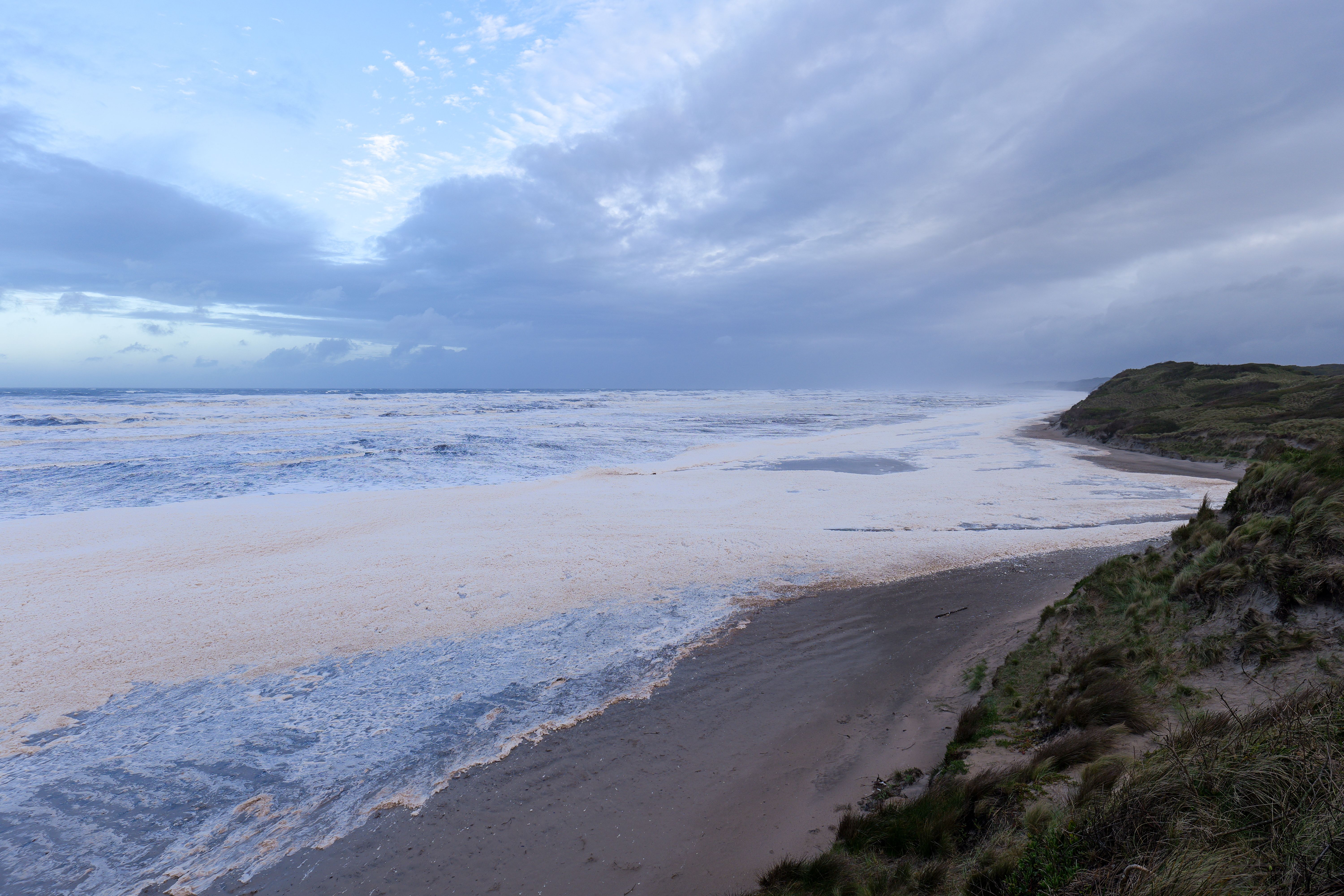 Footpath towards Beach · Free Stock Photo