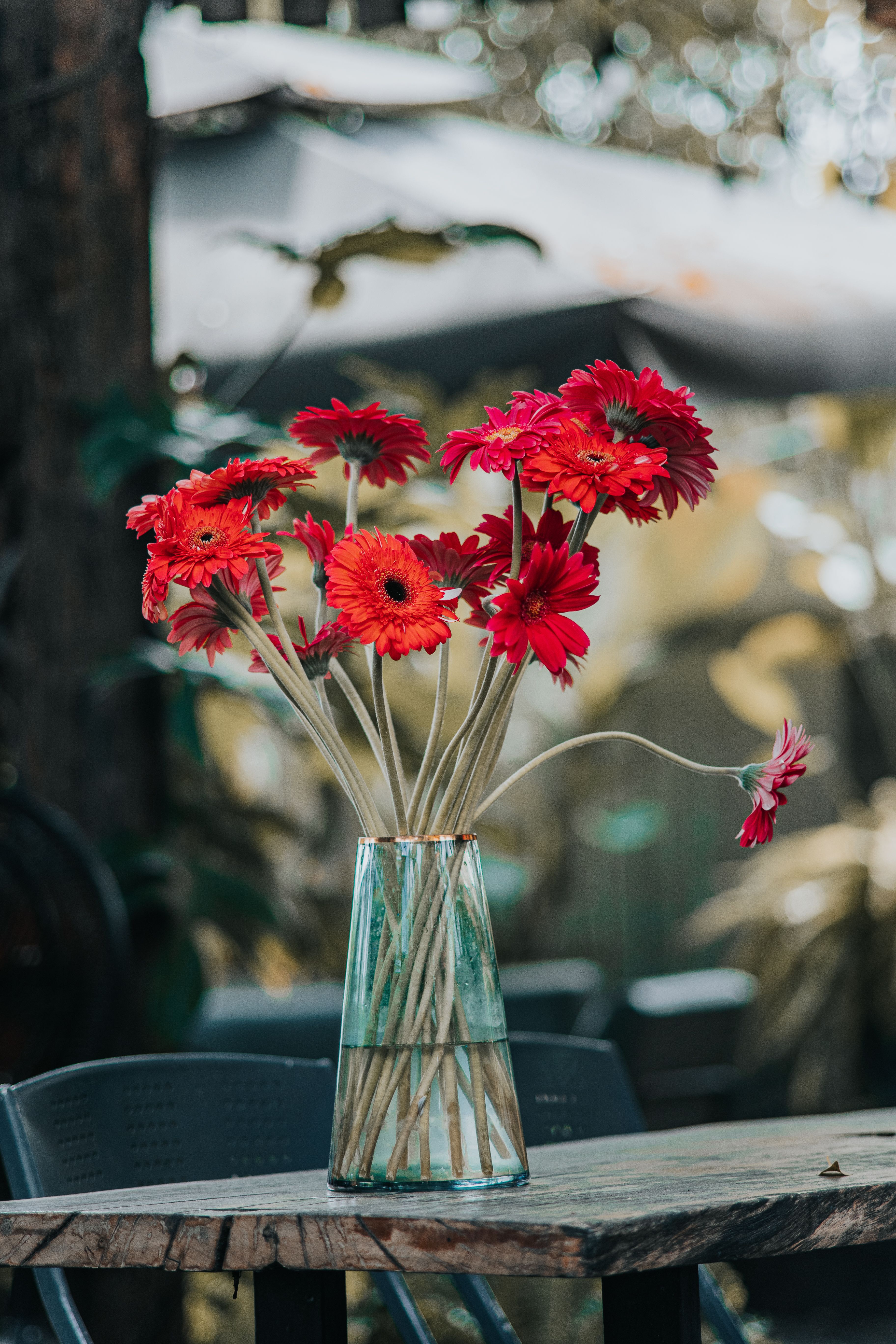 Bunch Of Vibrant Flowers Photos, Download The BEST Free Bunch Of ...