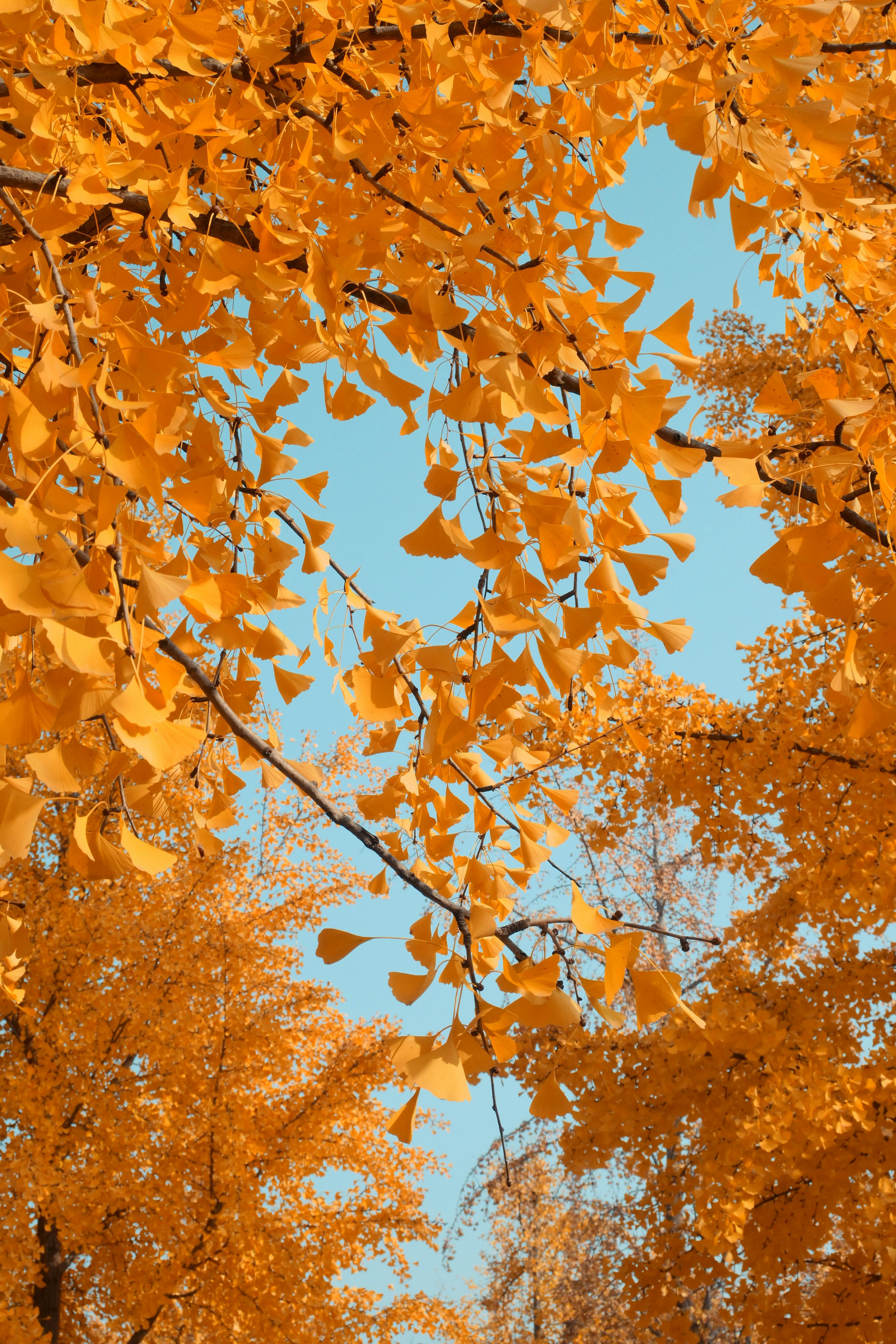 Nichkhun推特 Photos, Download The BEST Free Nichkhun推特 Stock Photos & HD ...