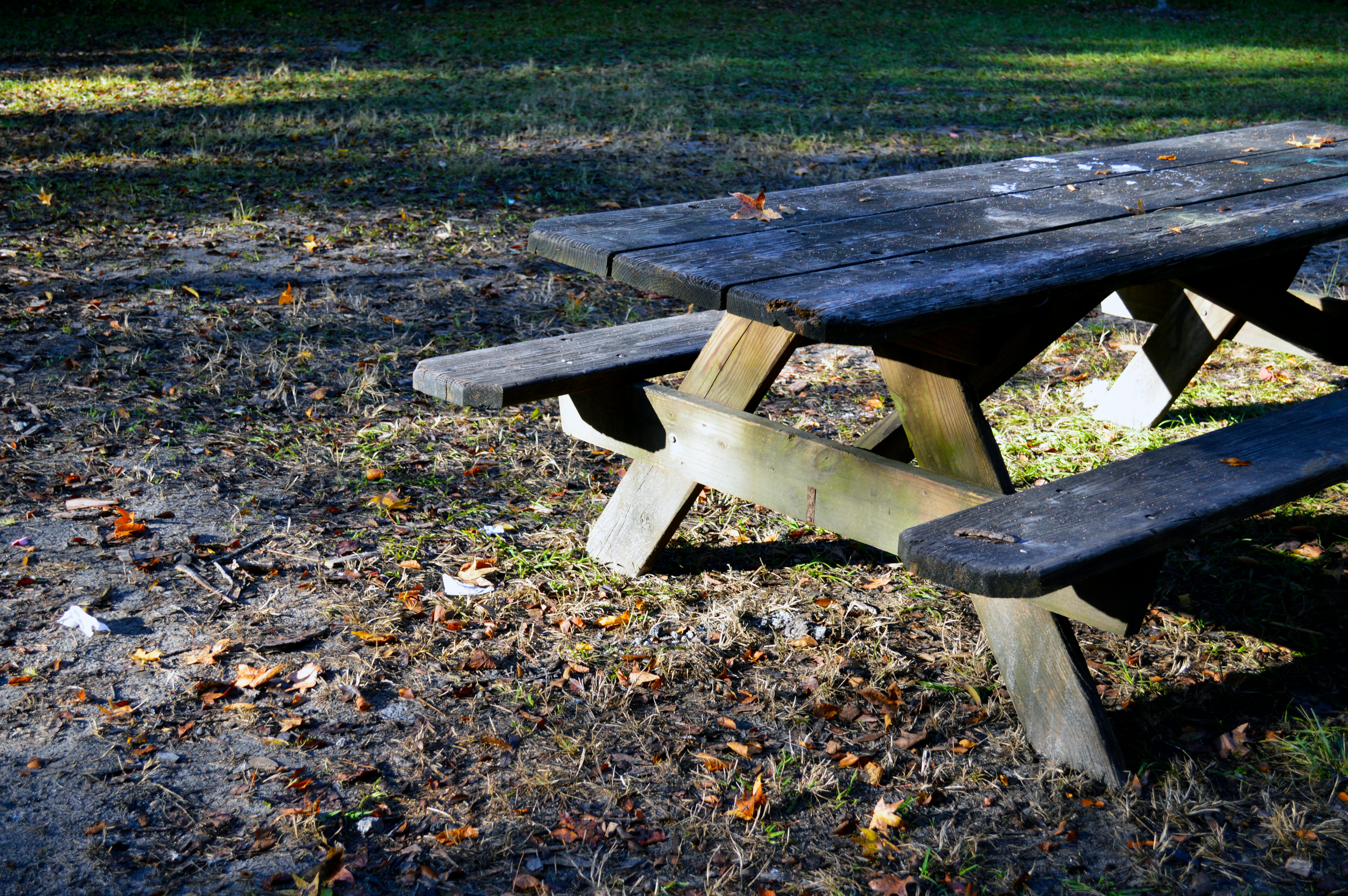 Free stock photo of beautiful landscape, bench, benches