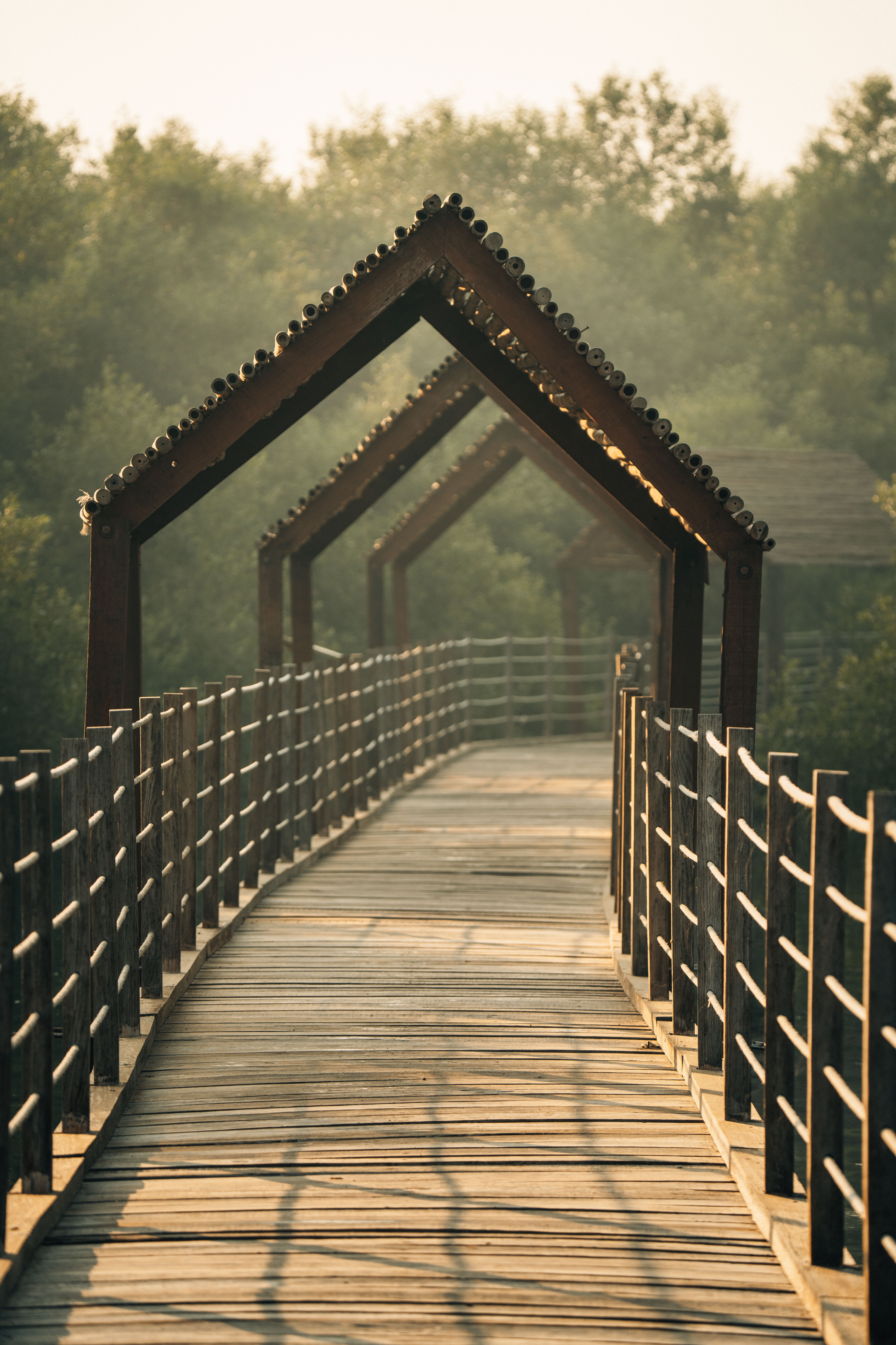 Scenic Wooden Walkway in Peaceful Nature Setting · Free Stock Photo