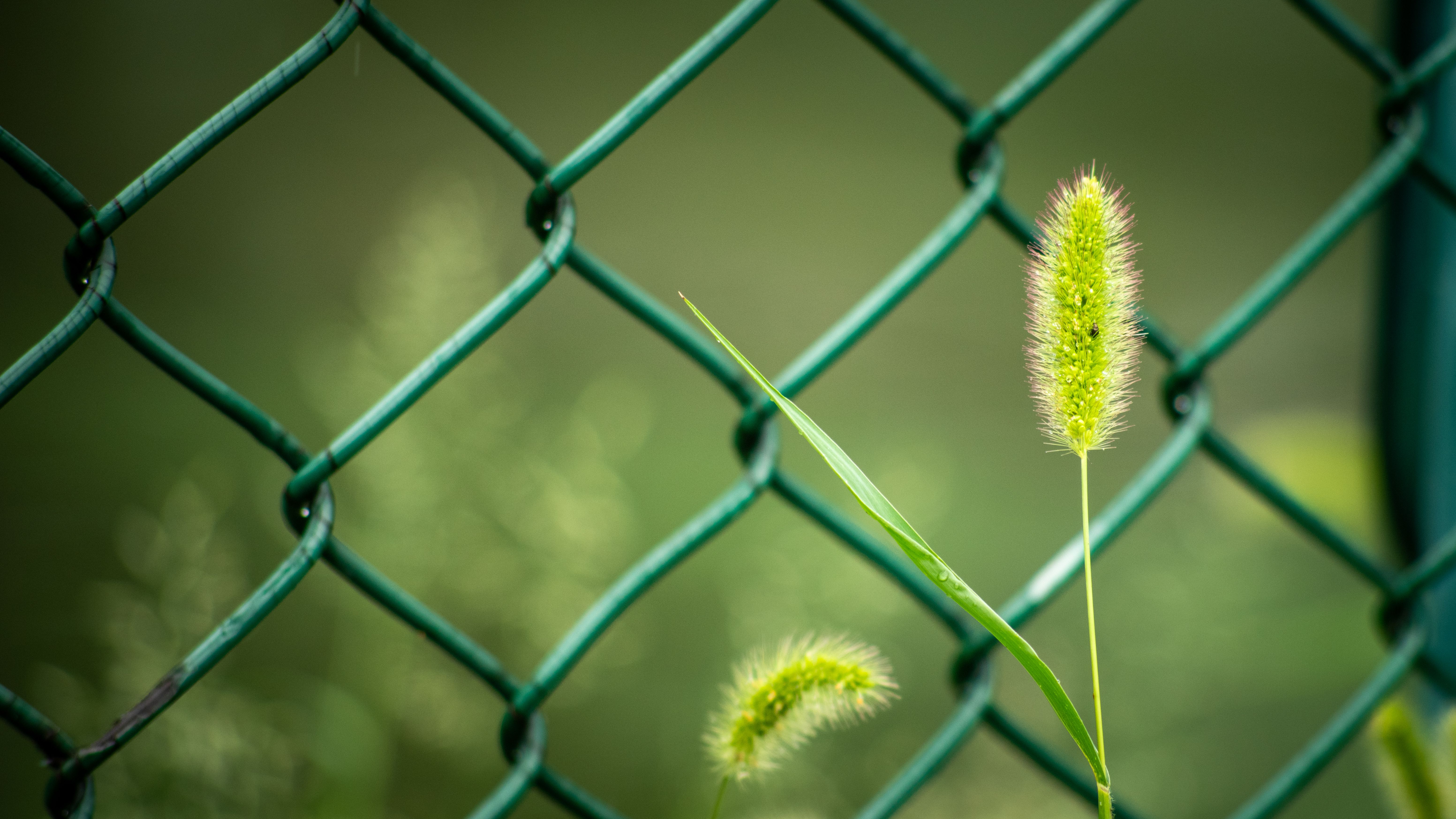 Targeta+Link+Pic Photos, Download The BEST Free Targeta+Link+Pic Stock ...