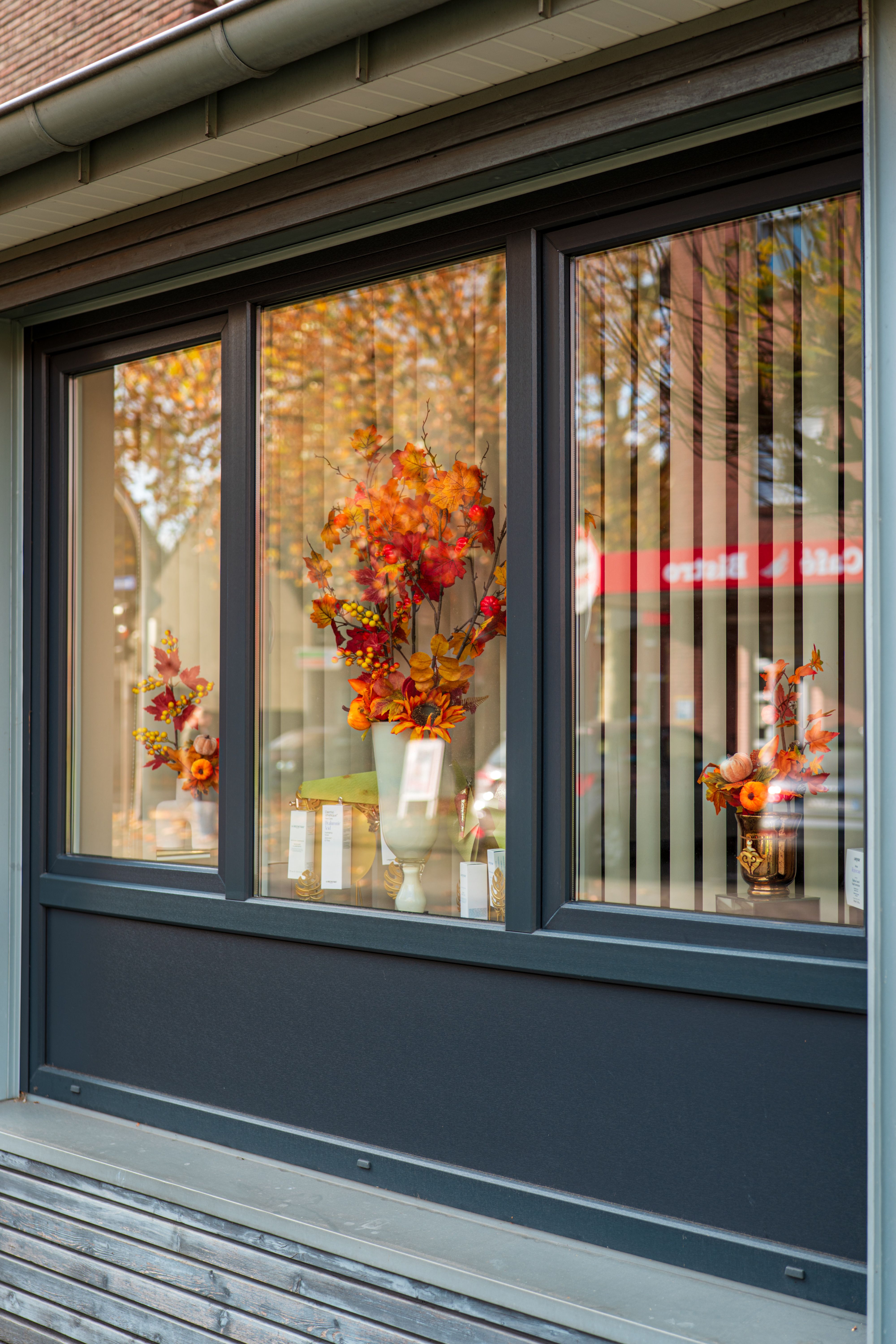 Autumn Floral Display in Storefront Window · Free Stock Photo
