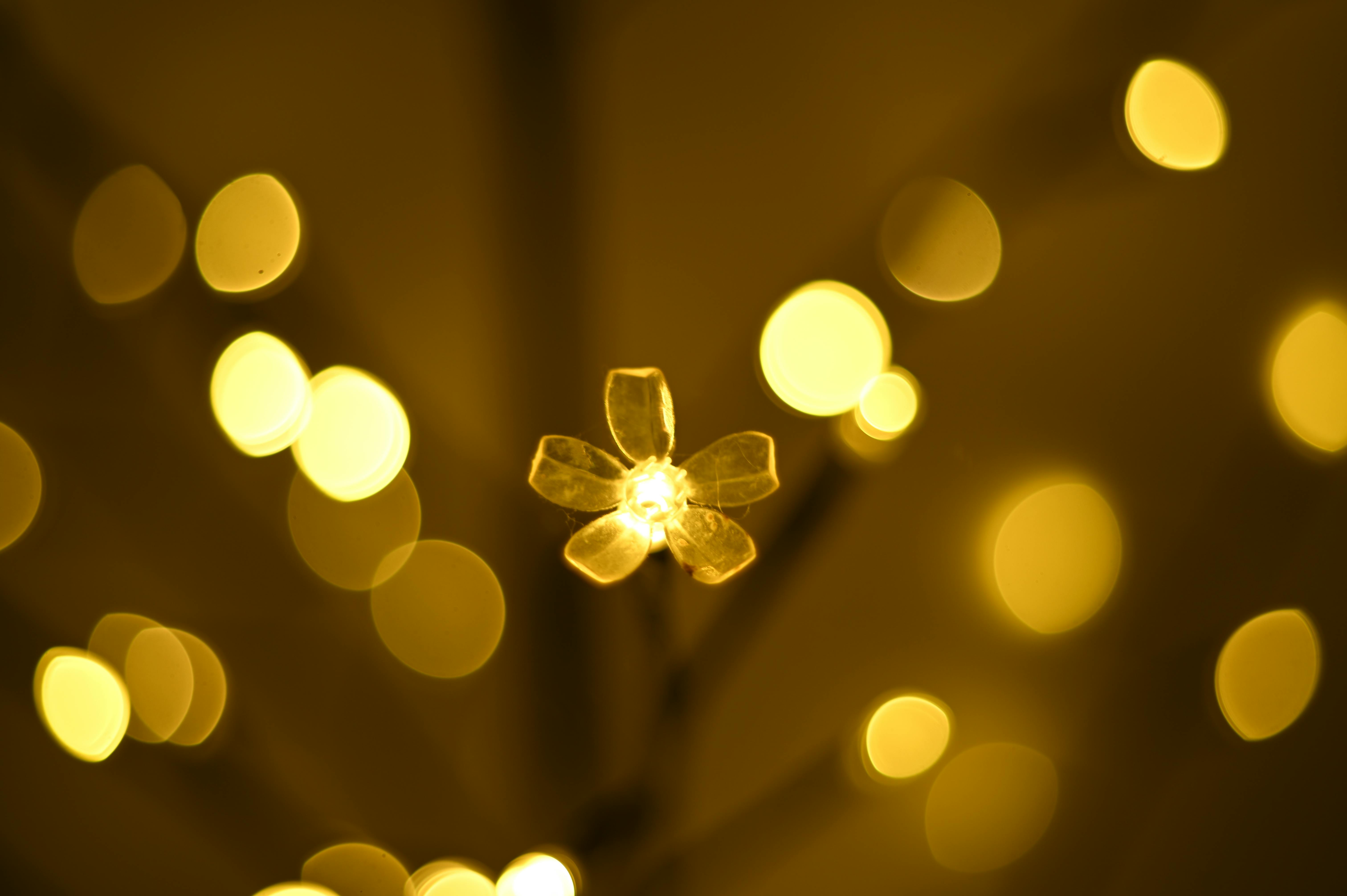 Abstract Golden Light Bokeh Flower Art · Free Stock Photo