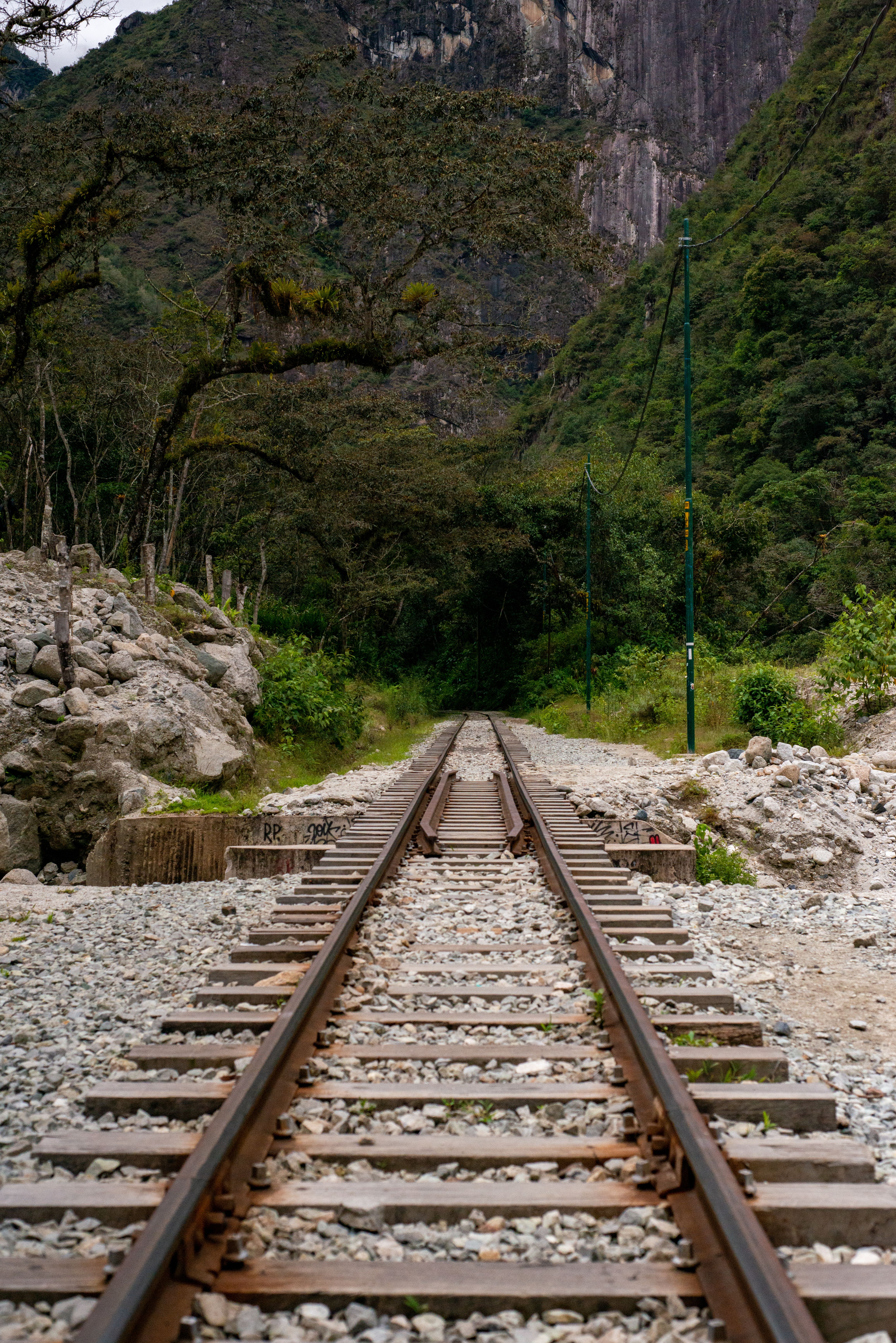 Rustic railway tracks leading into forested mountains · Free Stock Photo