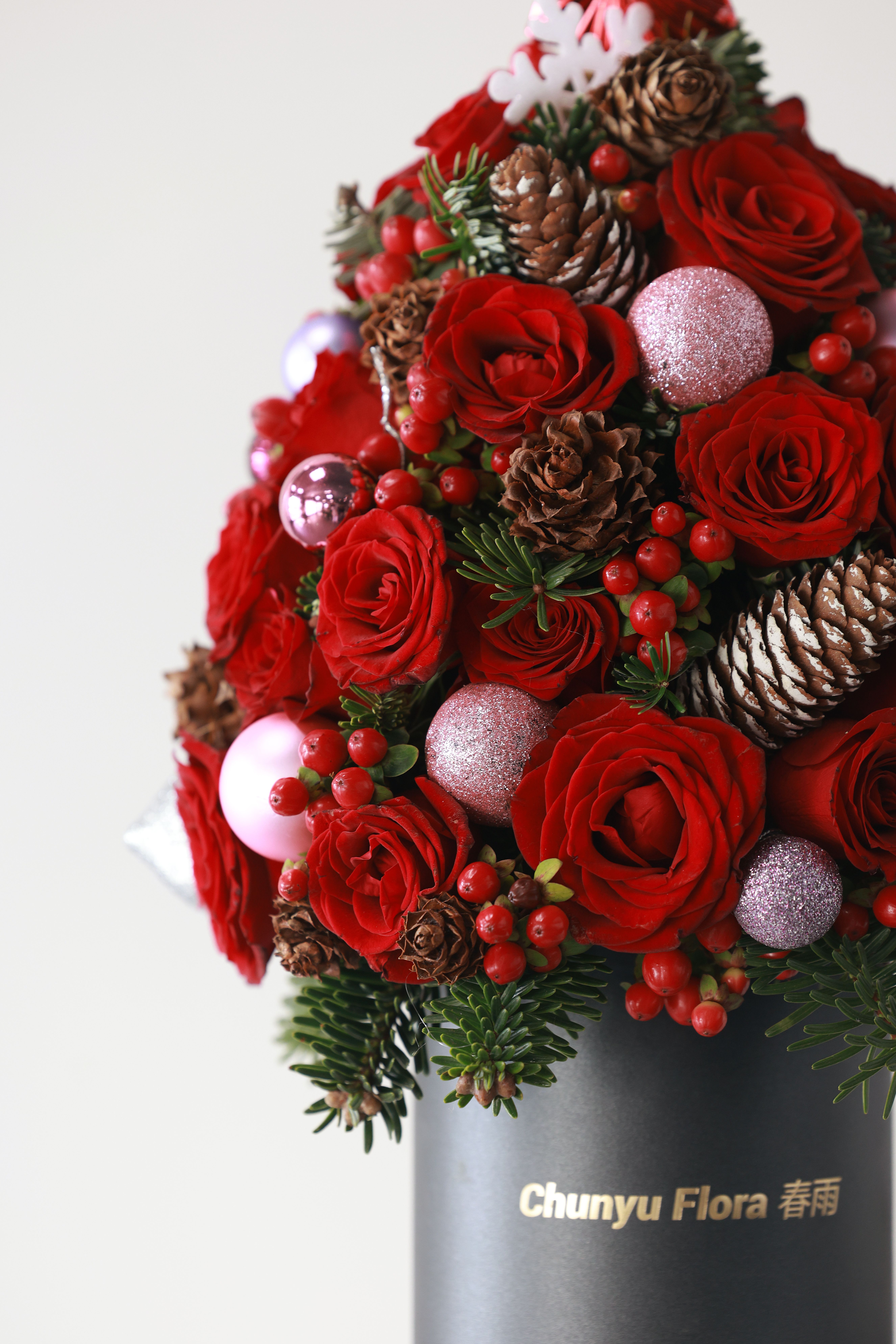 Christmas Roses Photos, Download The BEST Free Christmas Roses Stock ...