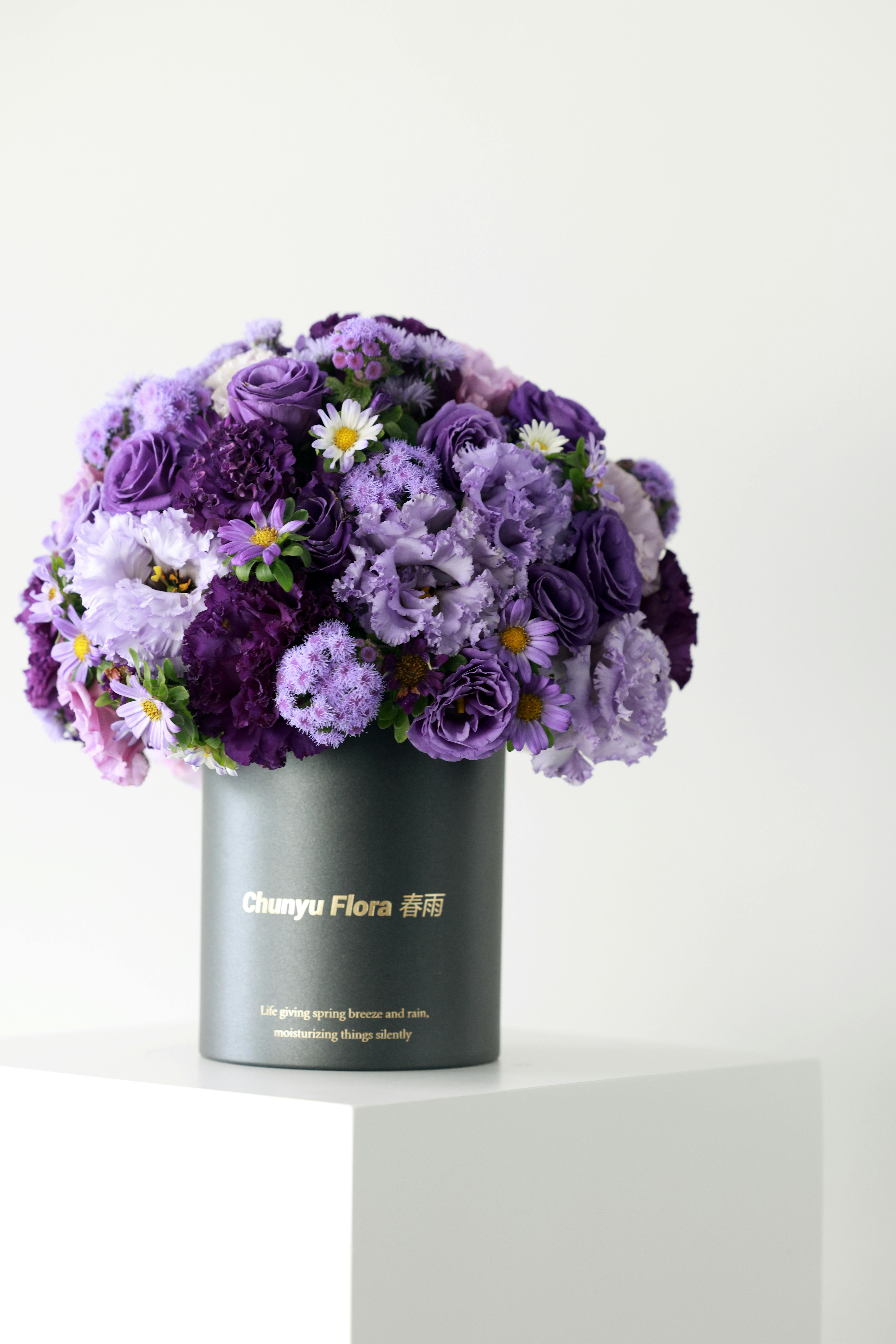 Boxing+Streamfree Photos, Download The BEST Free Boxing+Streamfree ...