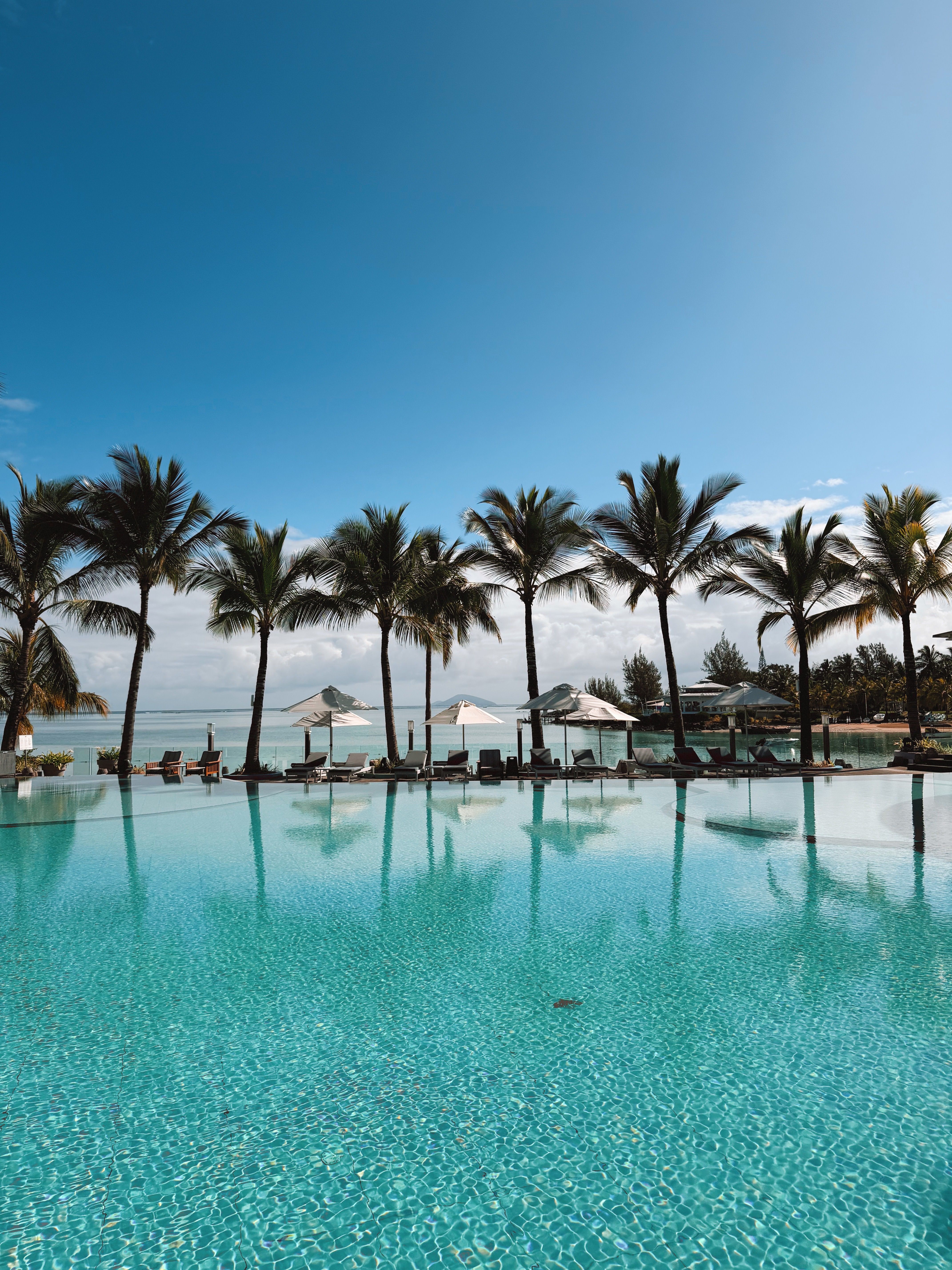 Tropical Resort Infinity Pool with Palm Trees · Free Stock Photo
