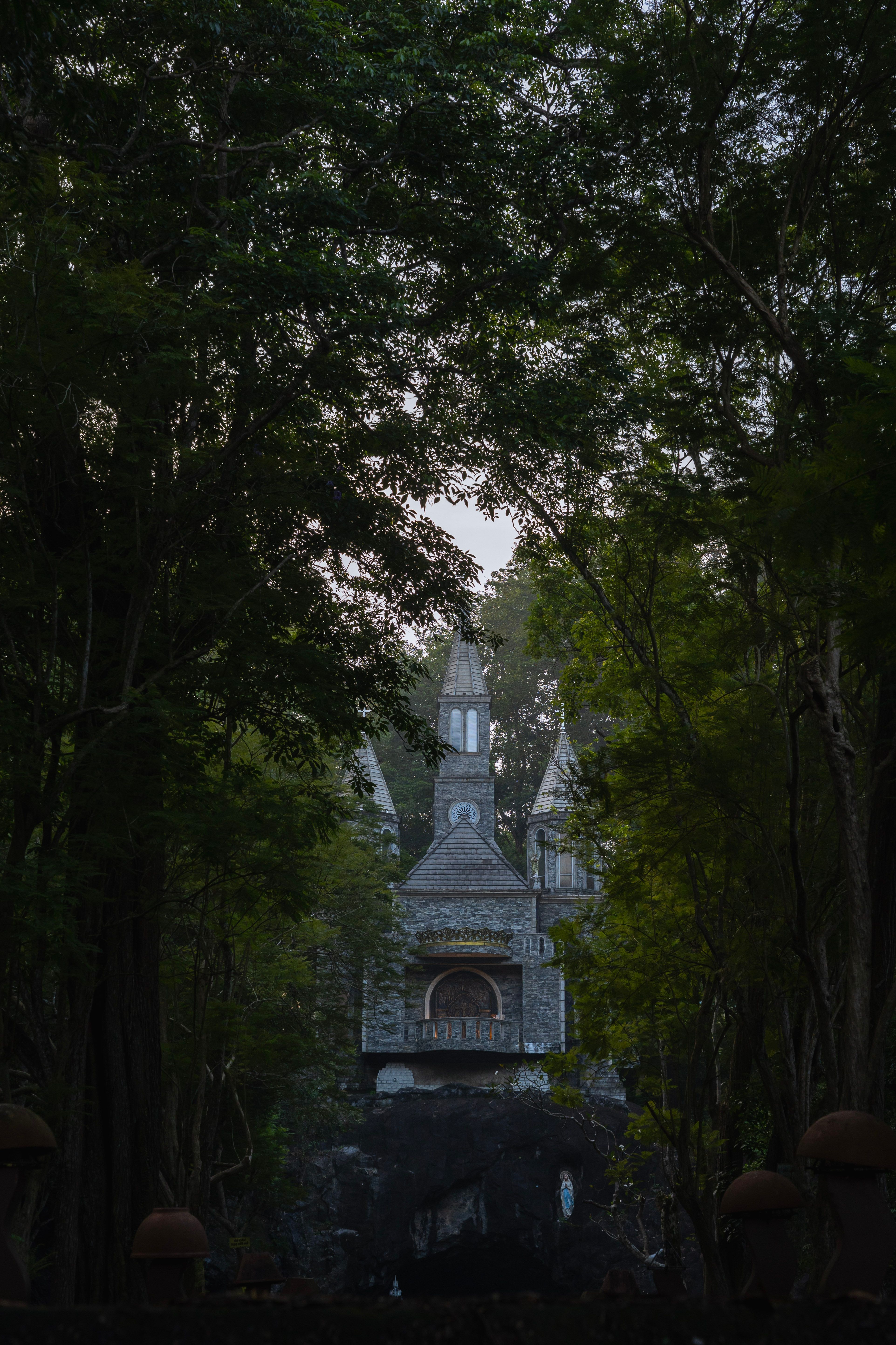 Mysterious Castle Surrounded by Lush Trees · Free Stock Photo