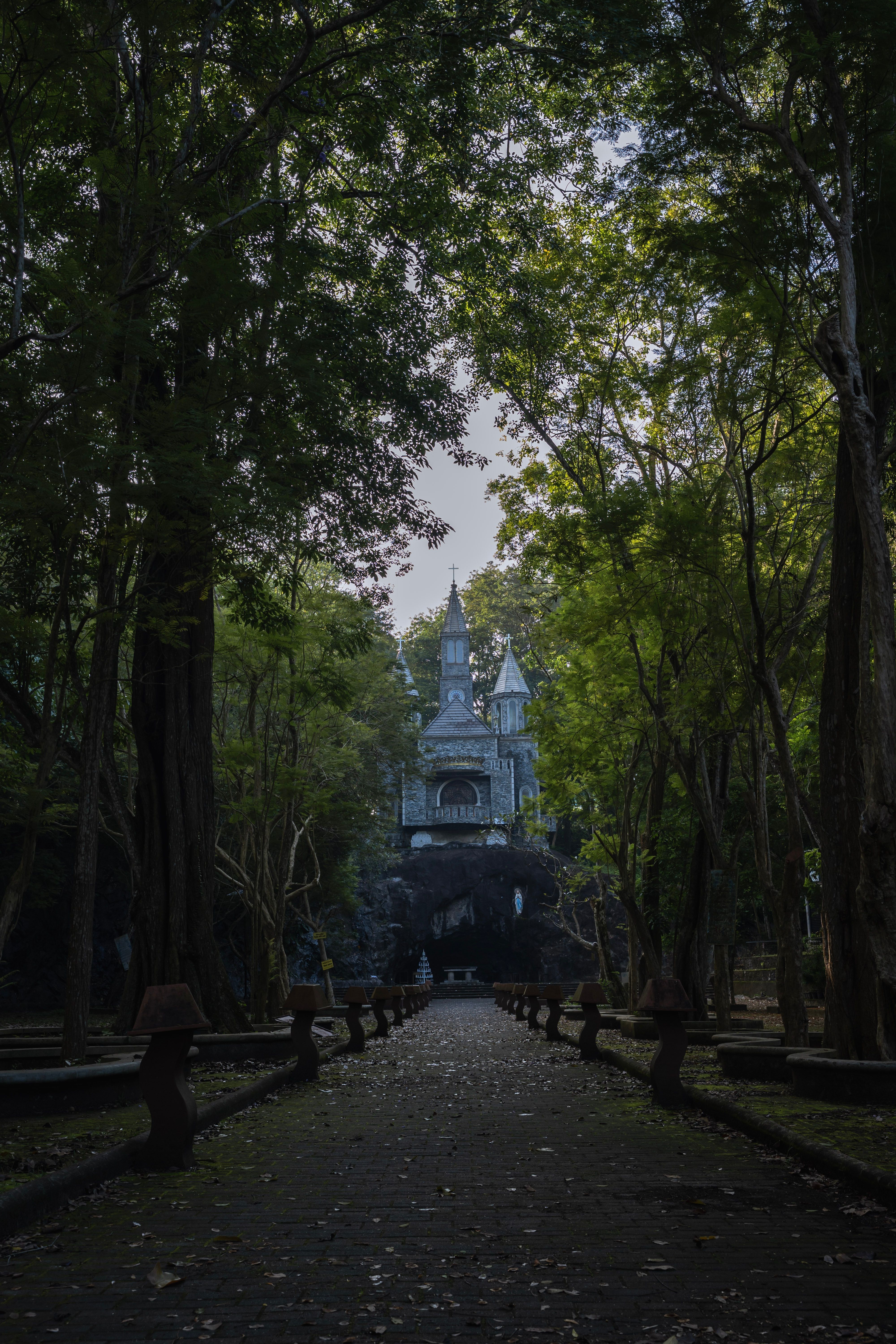 Pathway Leading to Enchanted Castle in Forest · Free Stock Photo