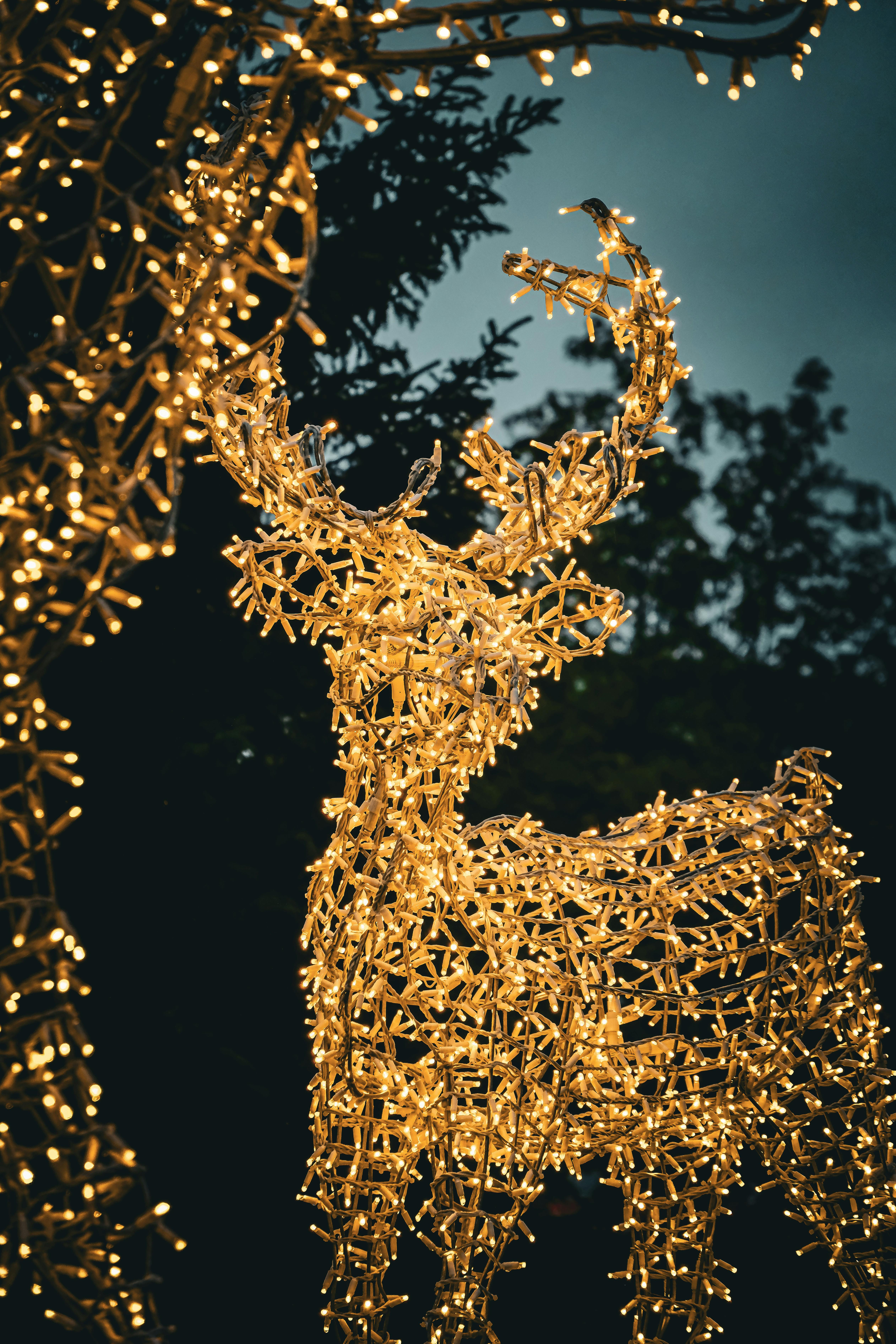 Glowing Light Within Photos, Download The BEST Free Glowing Light ...