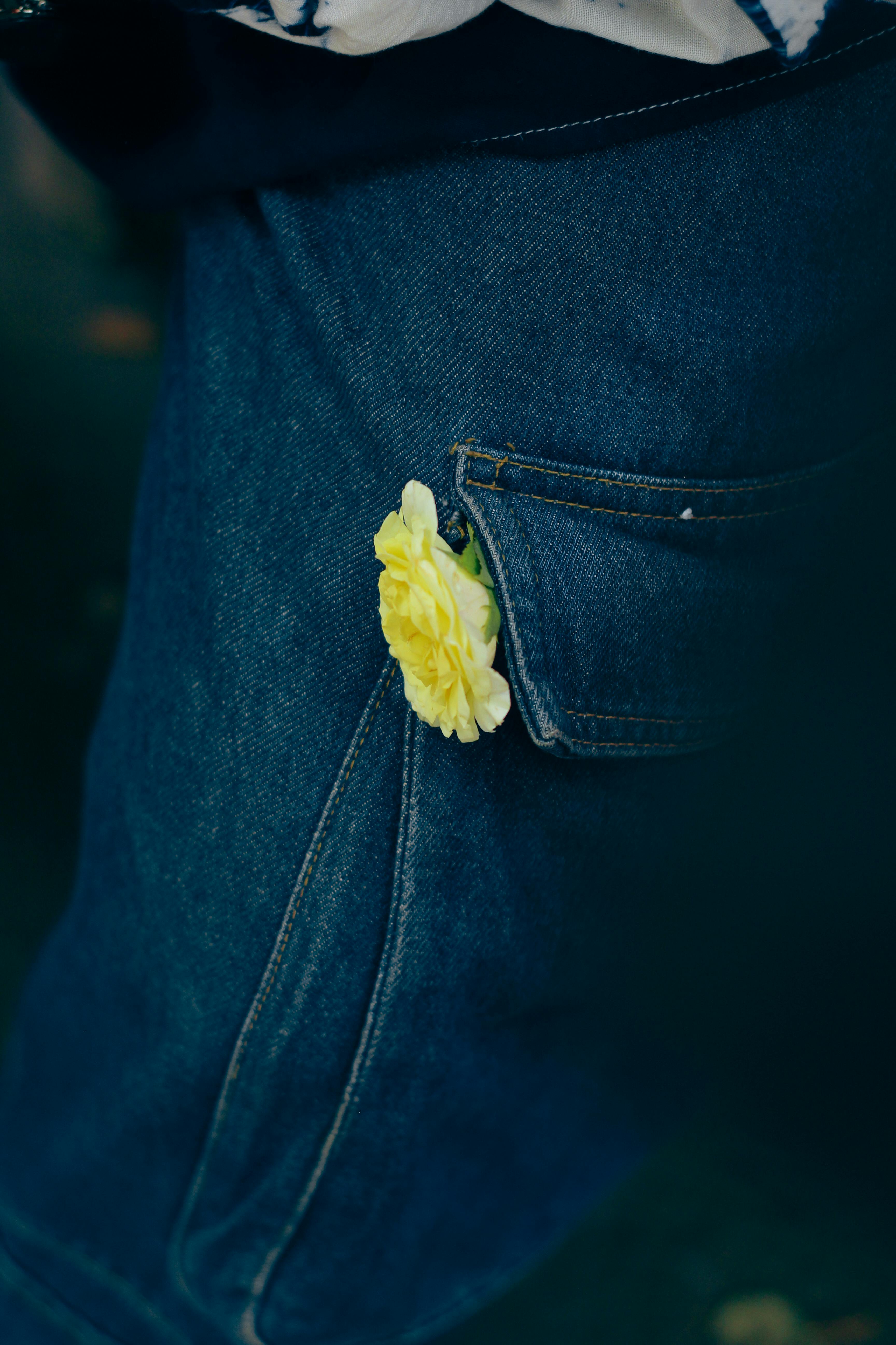 Emily+Bloom磁力 Photos, Download The BEST Free Emily+Bloom磁力 Stock Photos ...