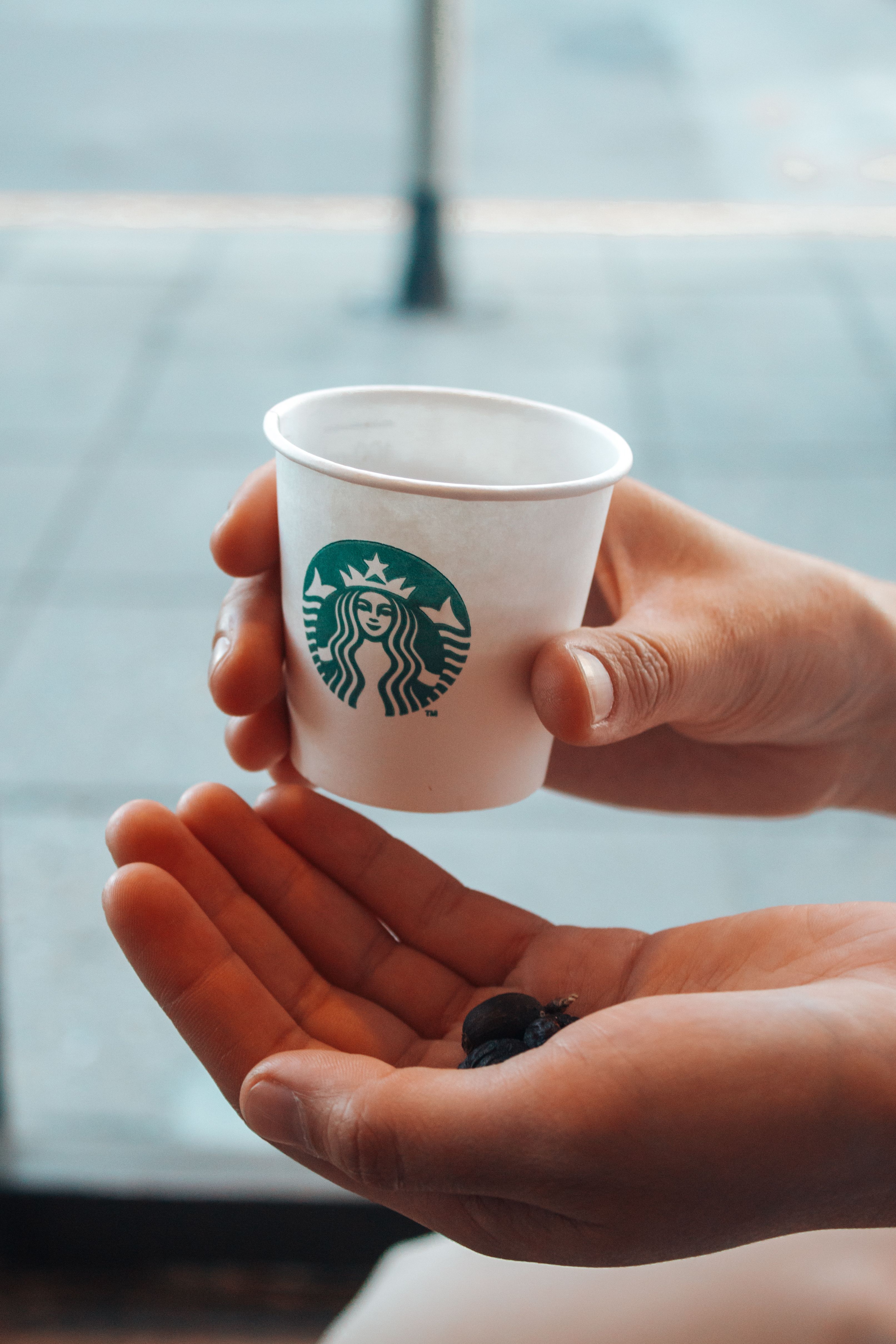 Close-up of Coffee Tasting at a Café · Free Stock Photo