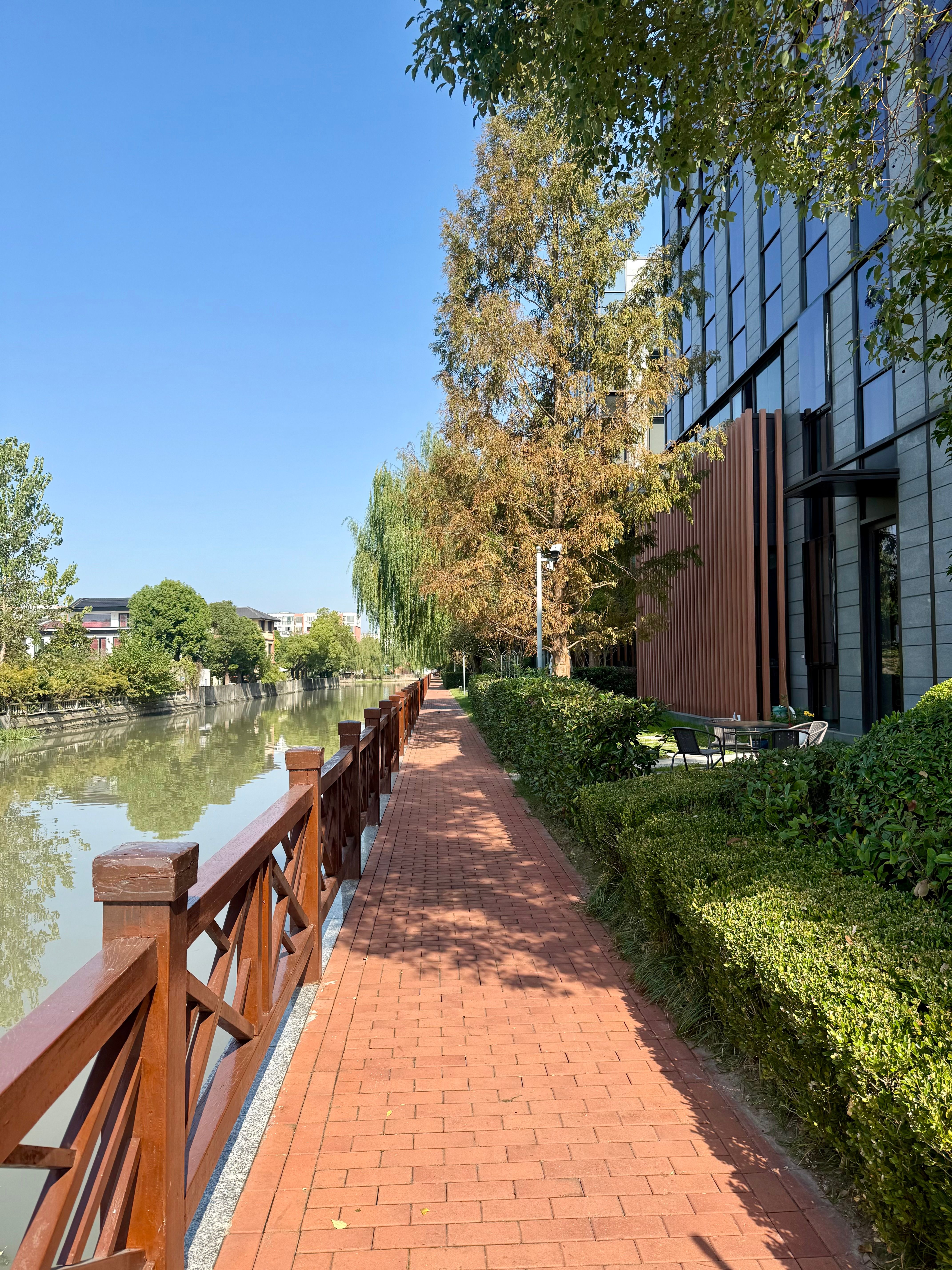 Scenic Riverside Walkway in Shanghai · Free Stock Photo