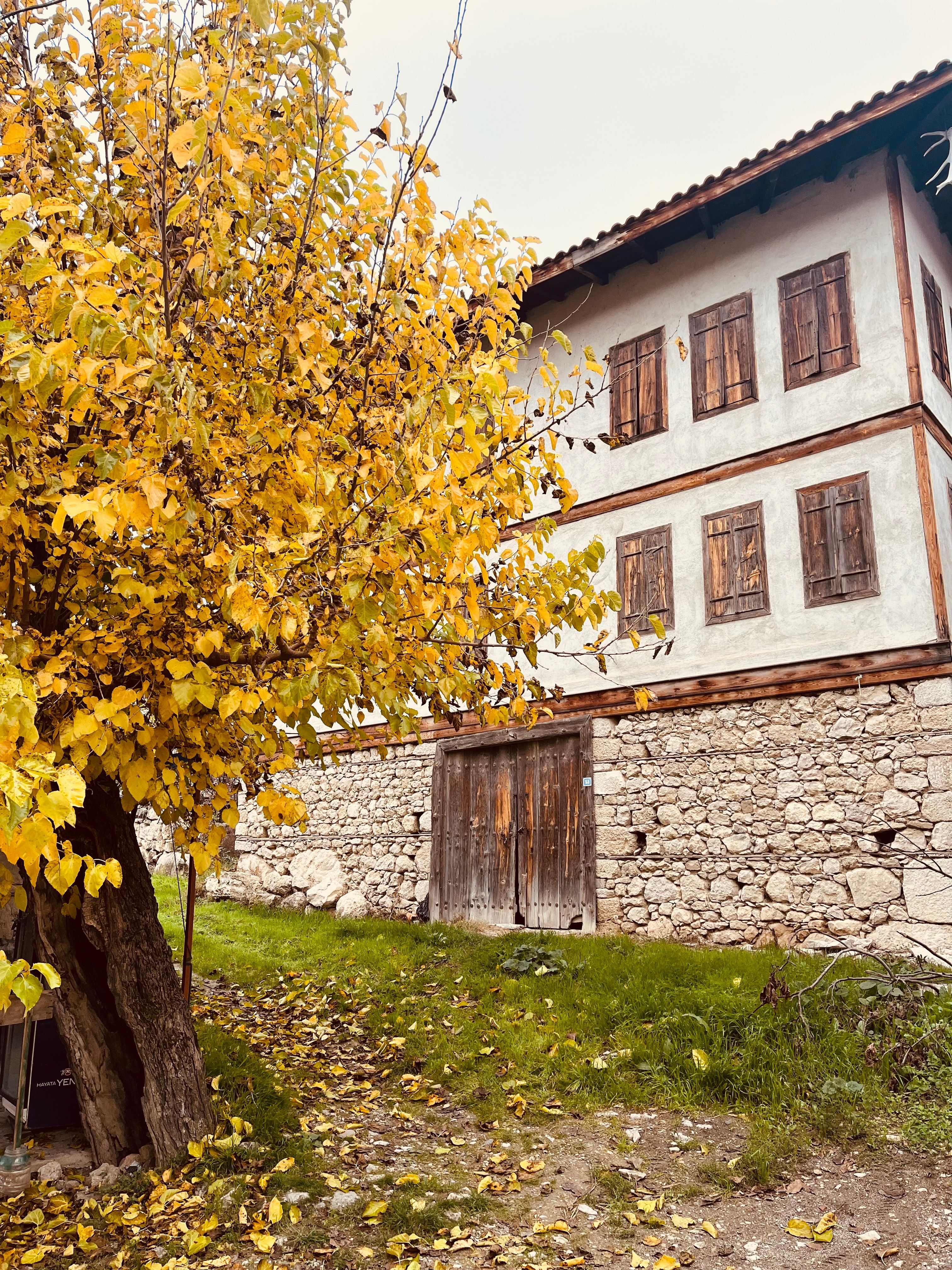 Charming Historic House with Autumn Foliage · Free Stock Photo