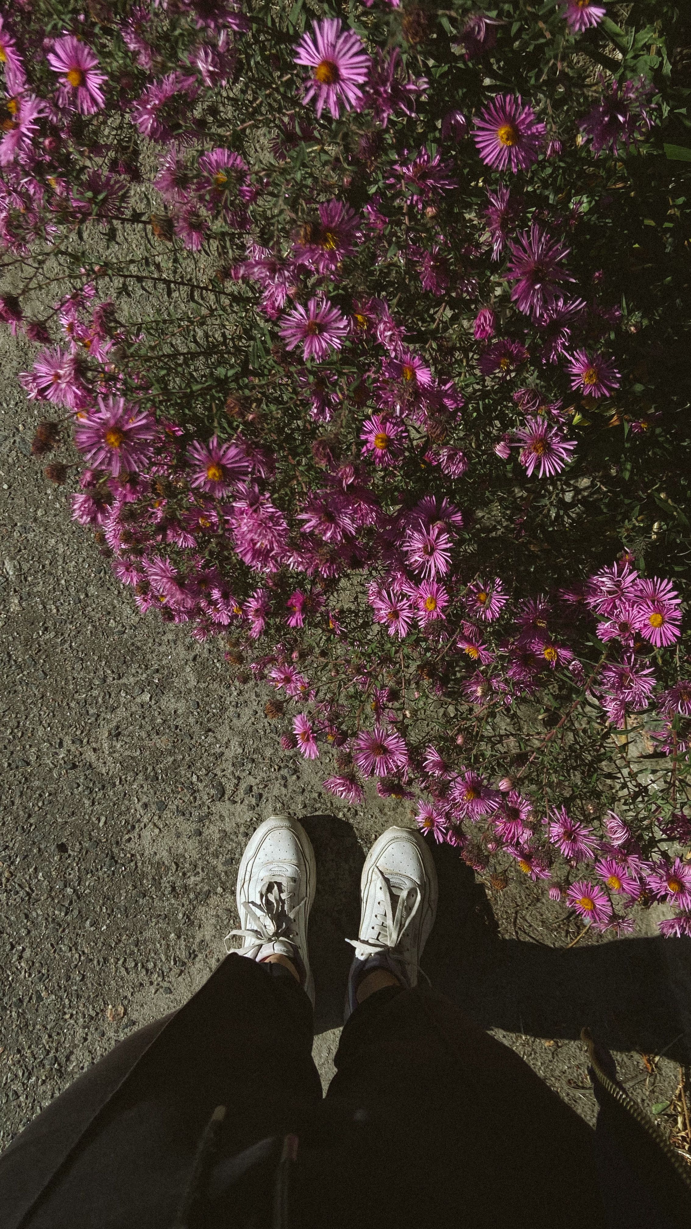 Leah Lewis Feet Photos, Download The BEST Free Leah Lewis Feet Stock ...