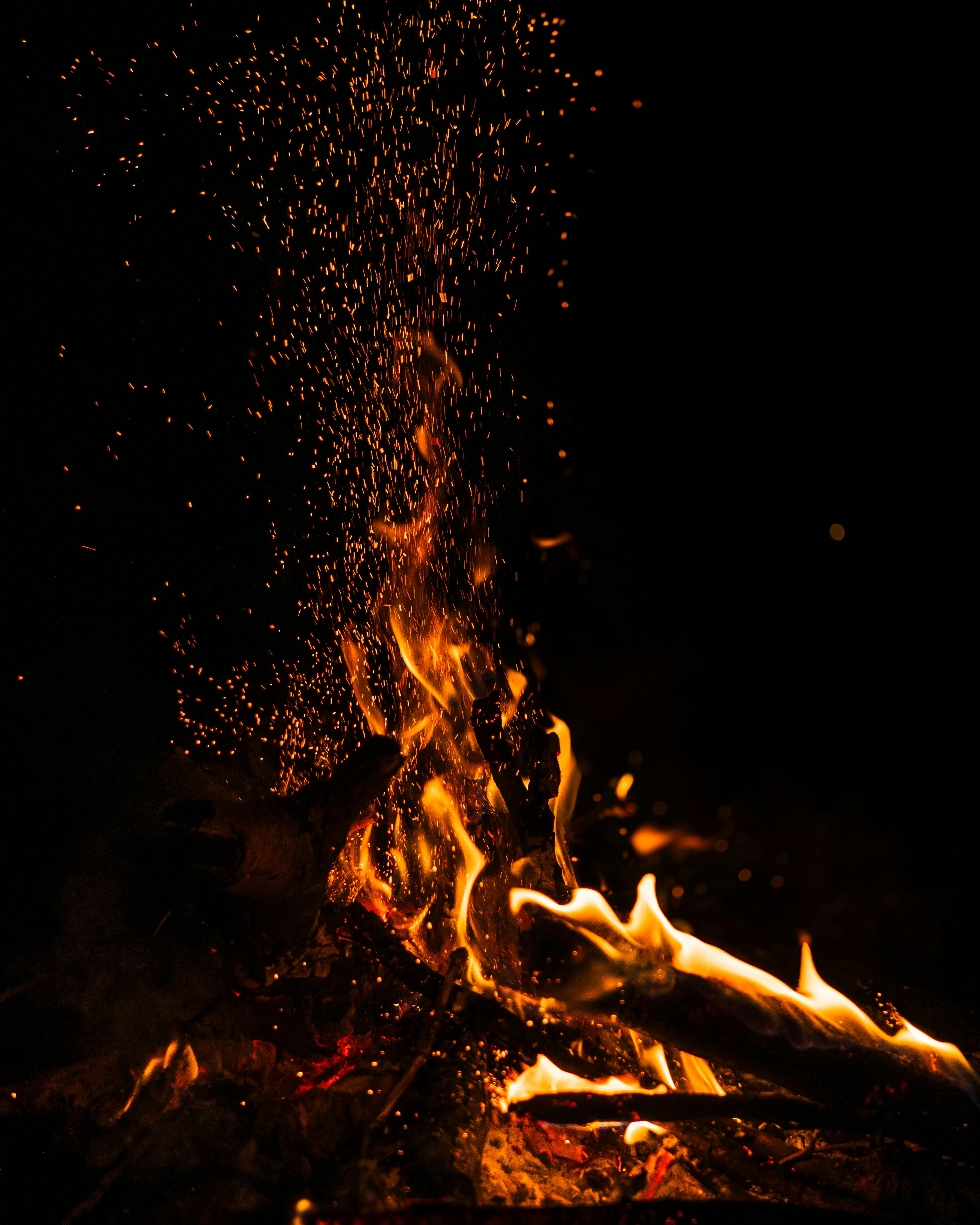 Taiga+Camp+Illustration Photos, Download The BEST Free Taiga+Camp ...