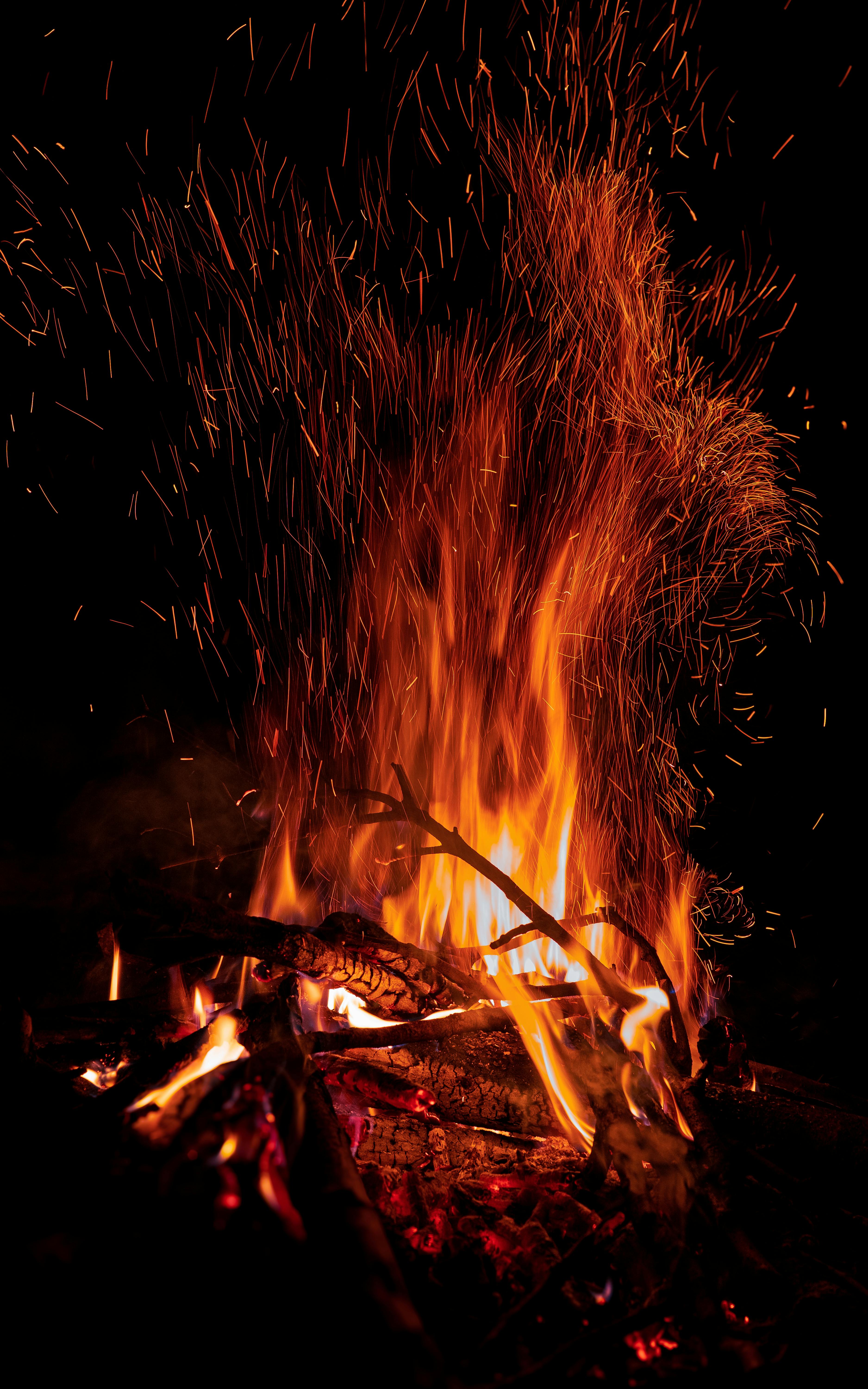 Taiga+Camp+Illustration Photos, Download The BEST Free Taiga+Camp ...