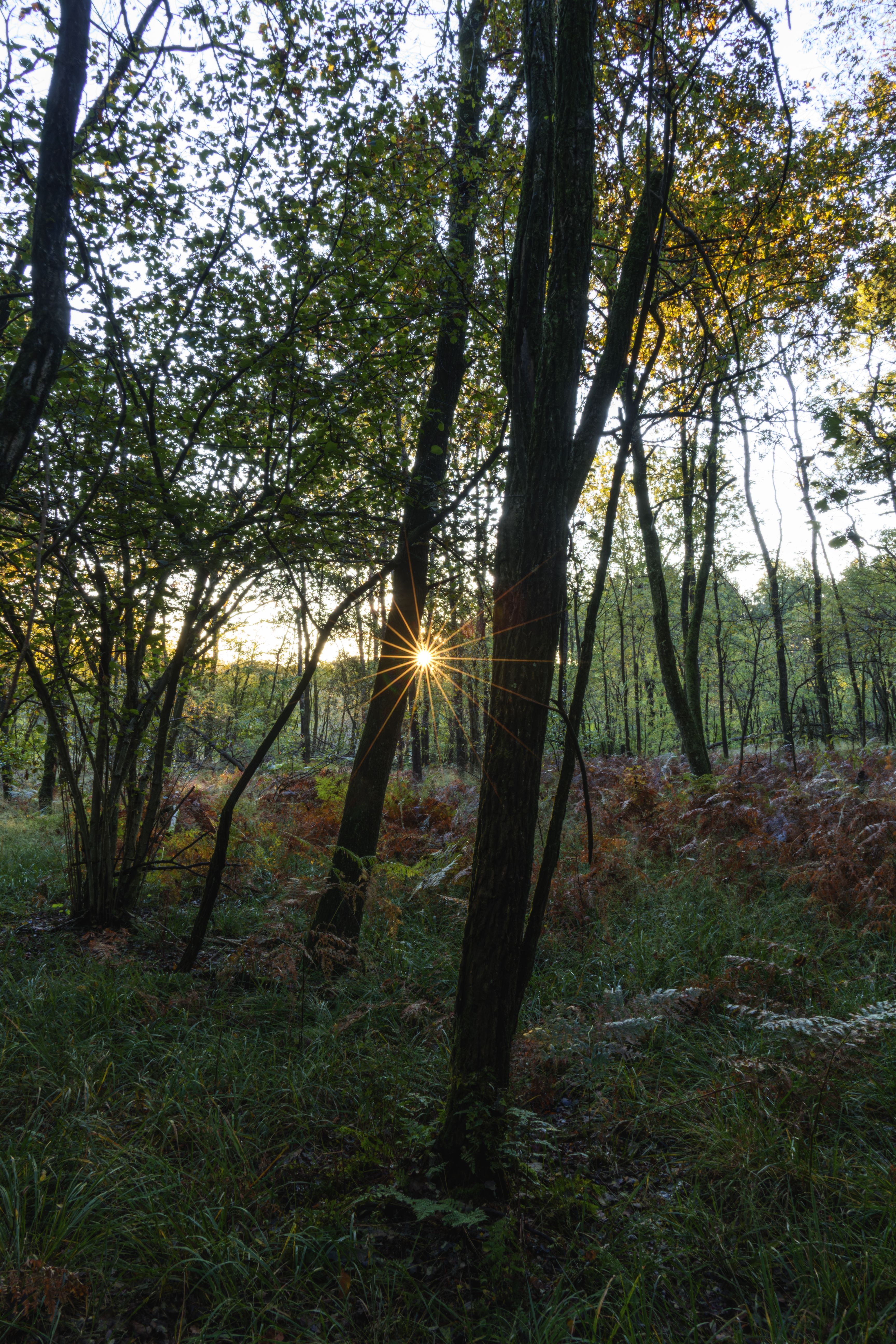 Ambient Ambient Photos, Download The BEST Free Ambient Ambient Stock ...