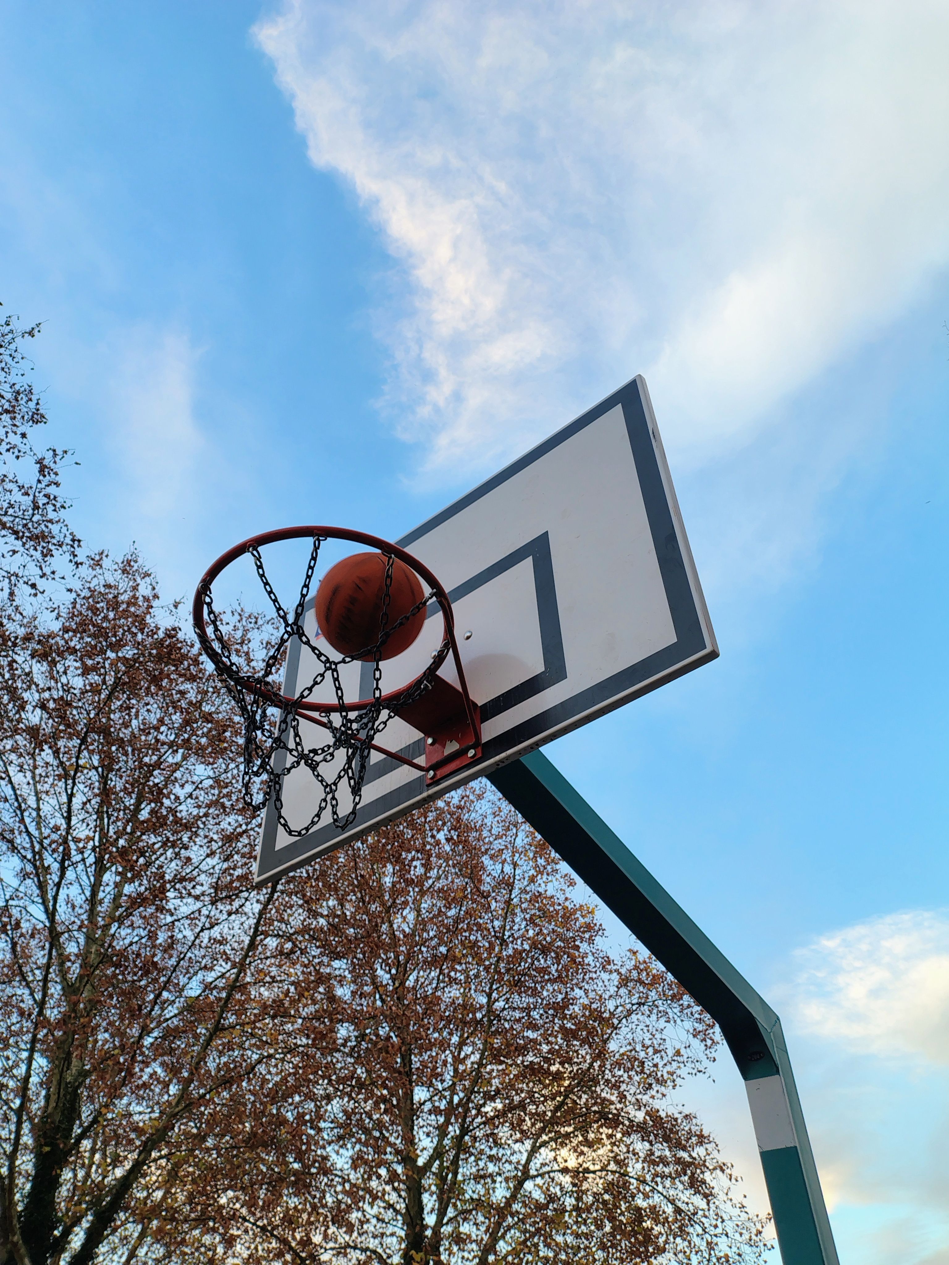 Basketball Ball Images Photos, Download The BEST Free Basketball Ball ...