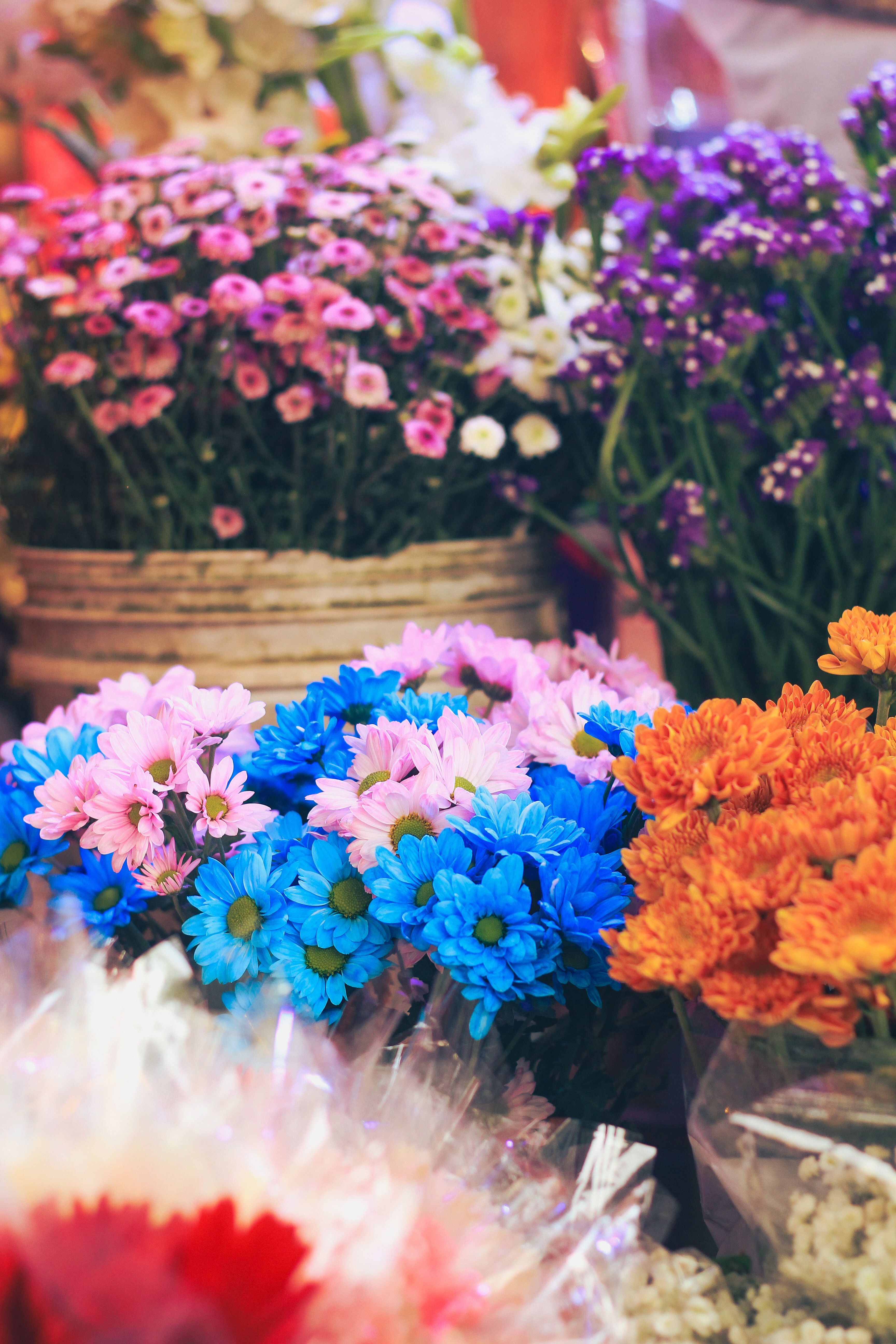 Vibrant Flower Market Display in Dhaka · Free Stock Photo