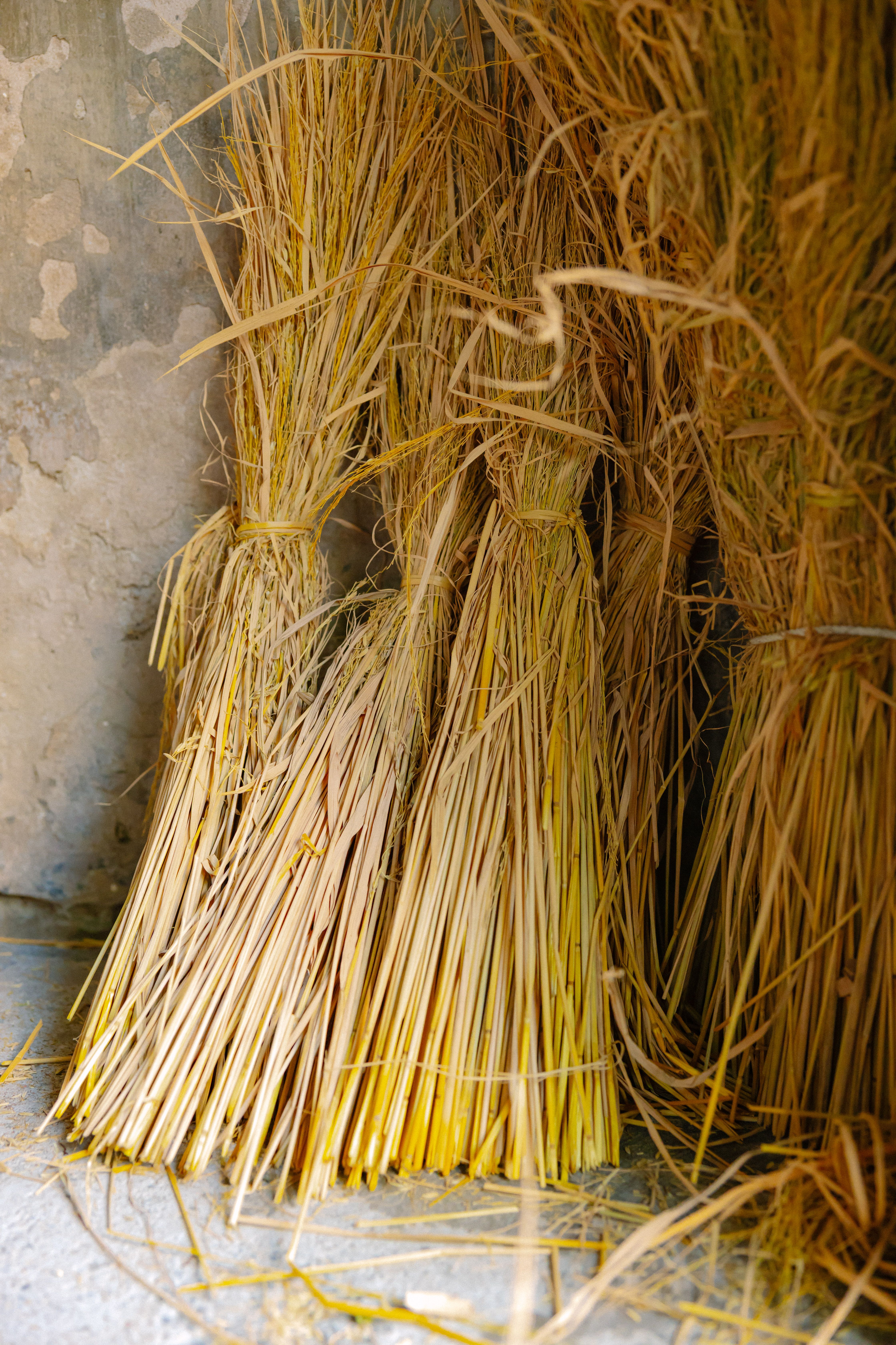 Straw Photos, Download The BEST Free Straw Stock Photos & HD Images