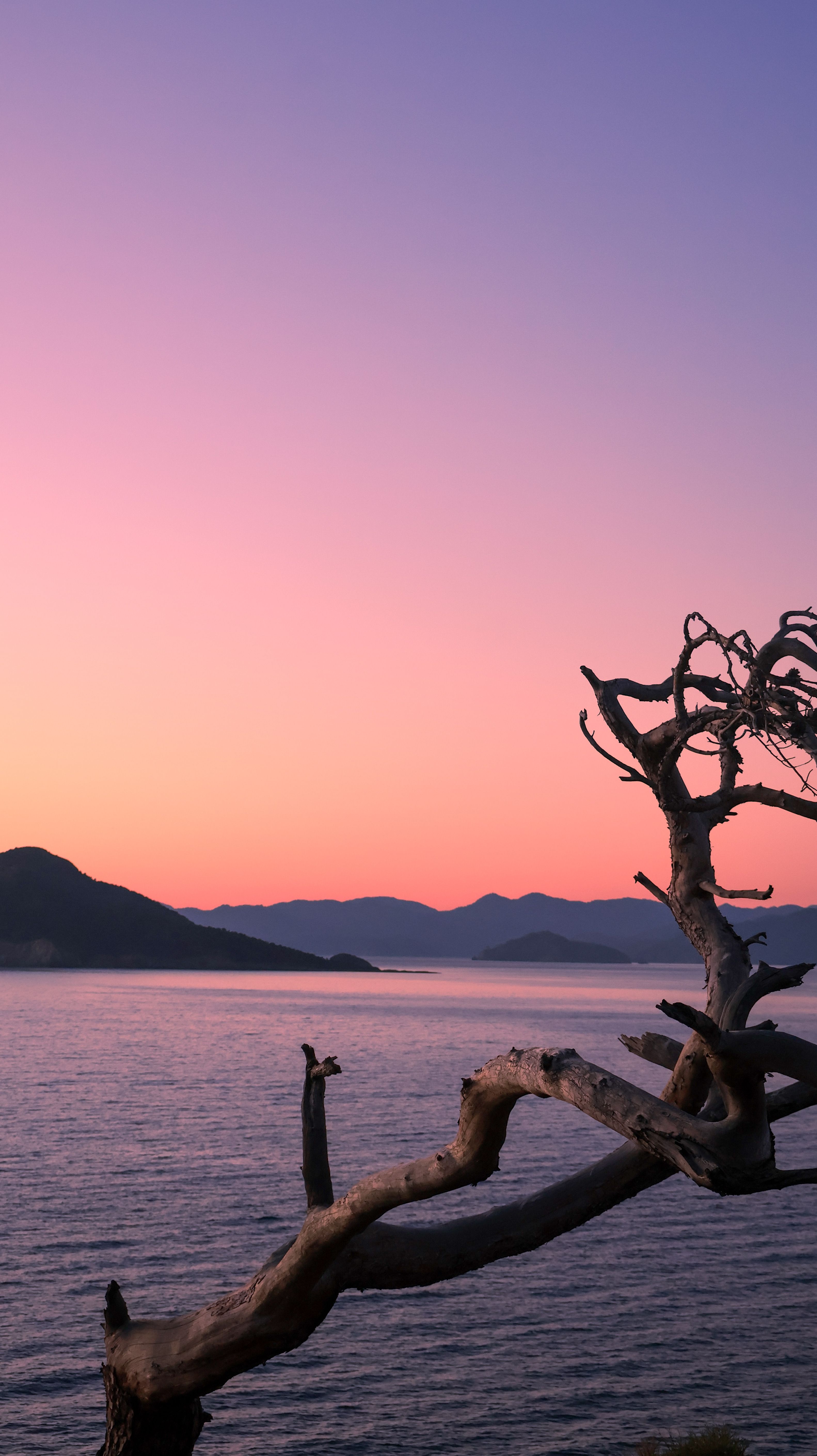 Remote Scene Photos, Download The BEST Free Remote Scene Stock Photos ...