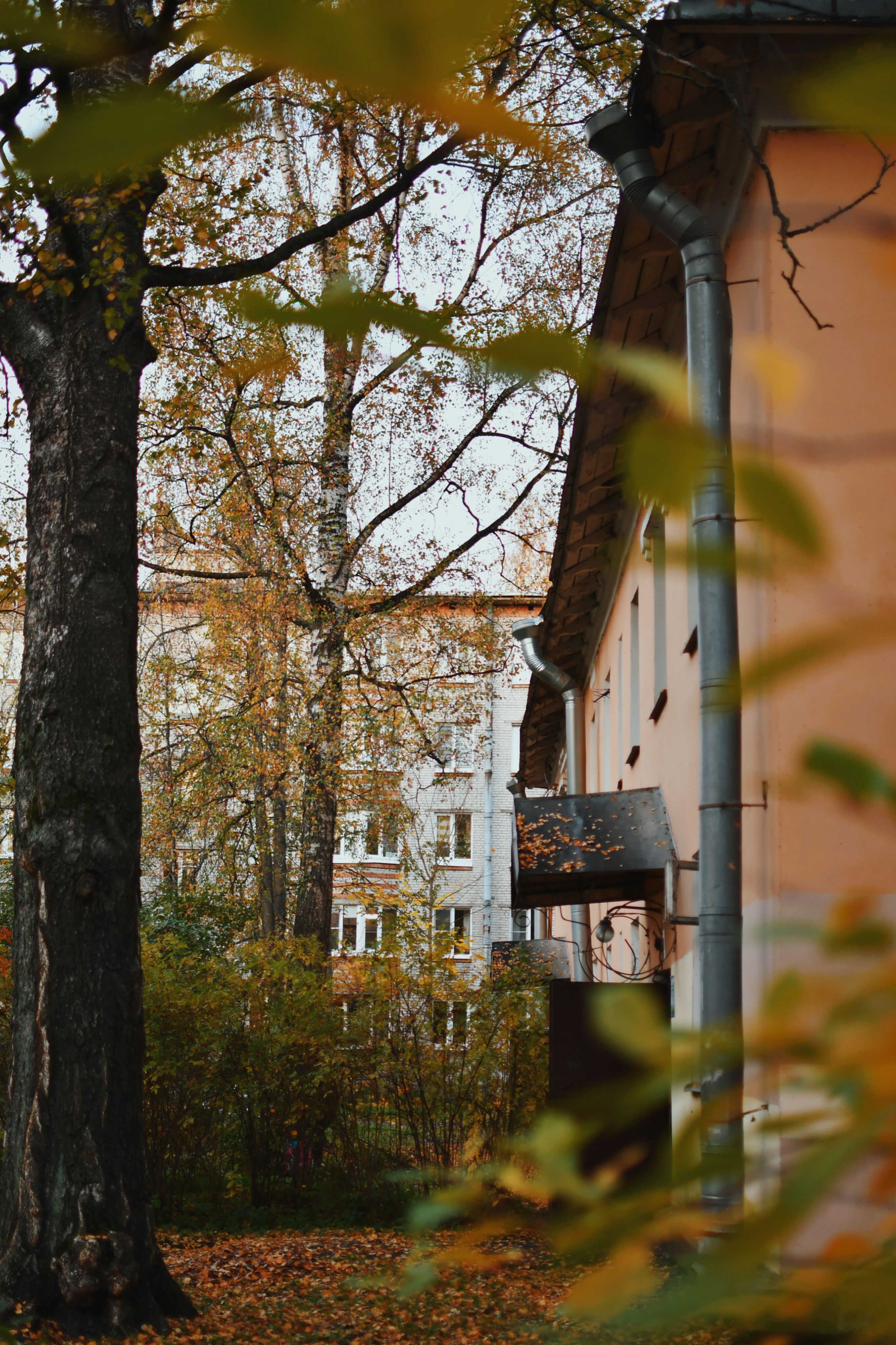 Charming Autumn Scene with Vintage Architecture · Free Stock Photo