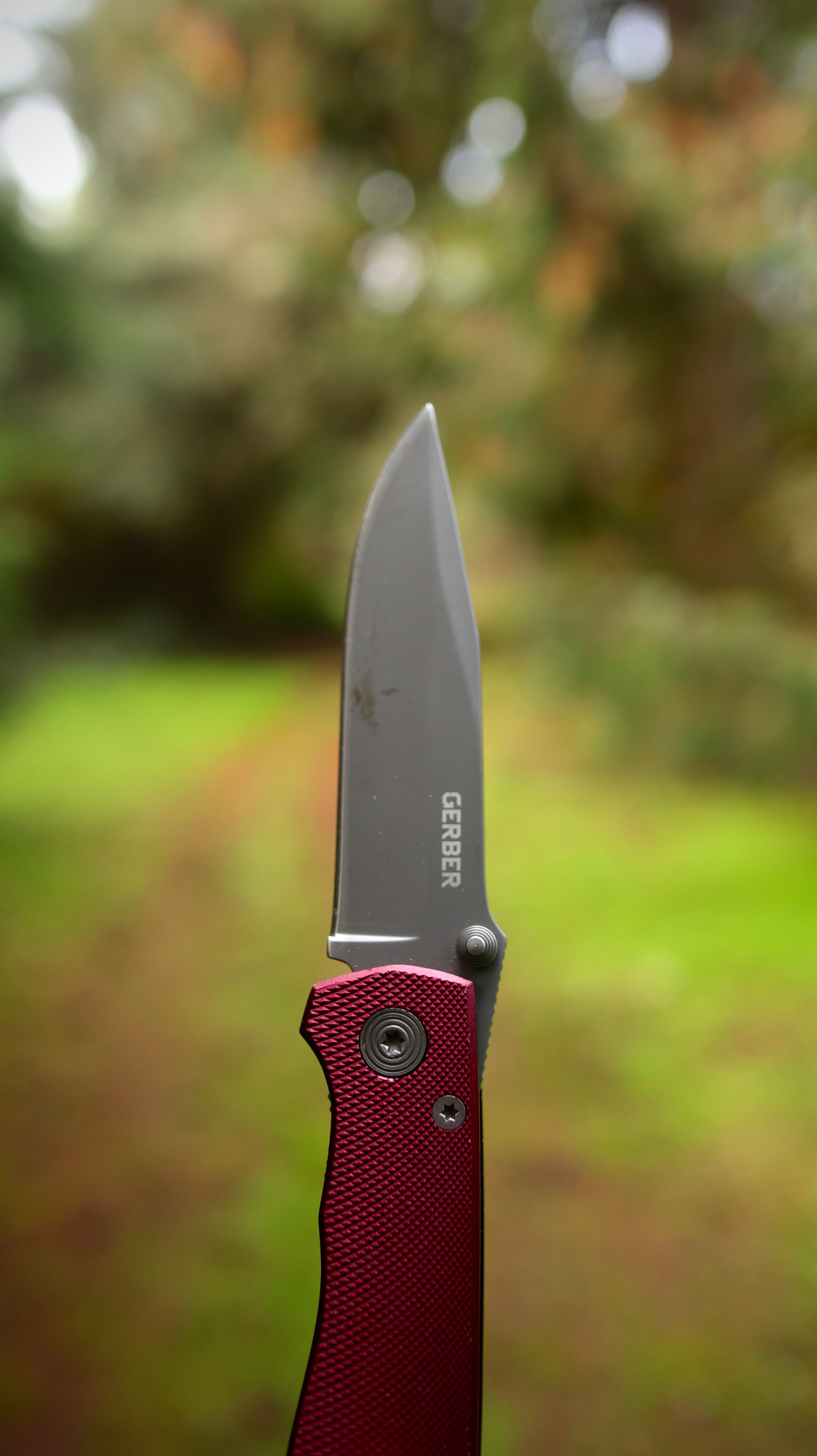 Nife Photos, Download The BEST Free Nife Stock Photos & HD Images