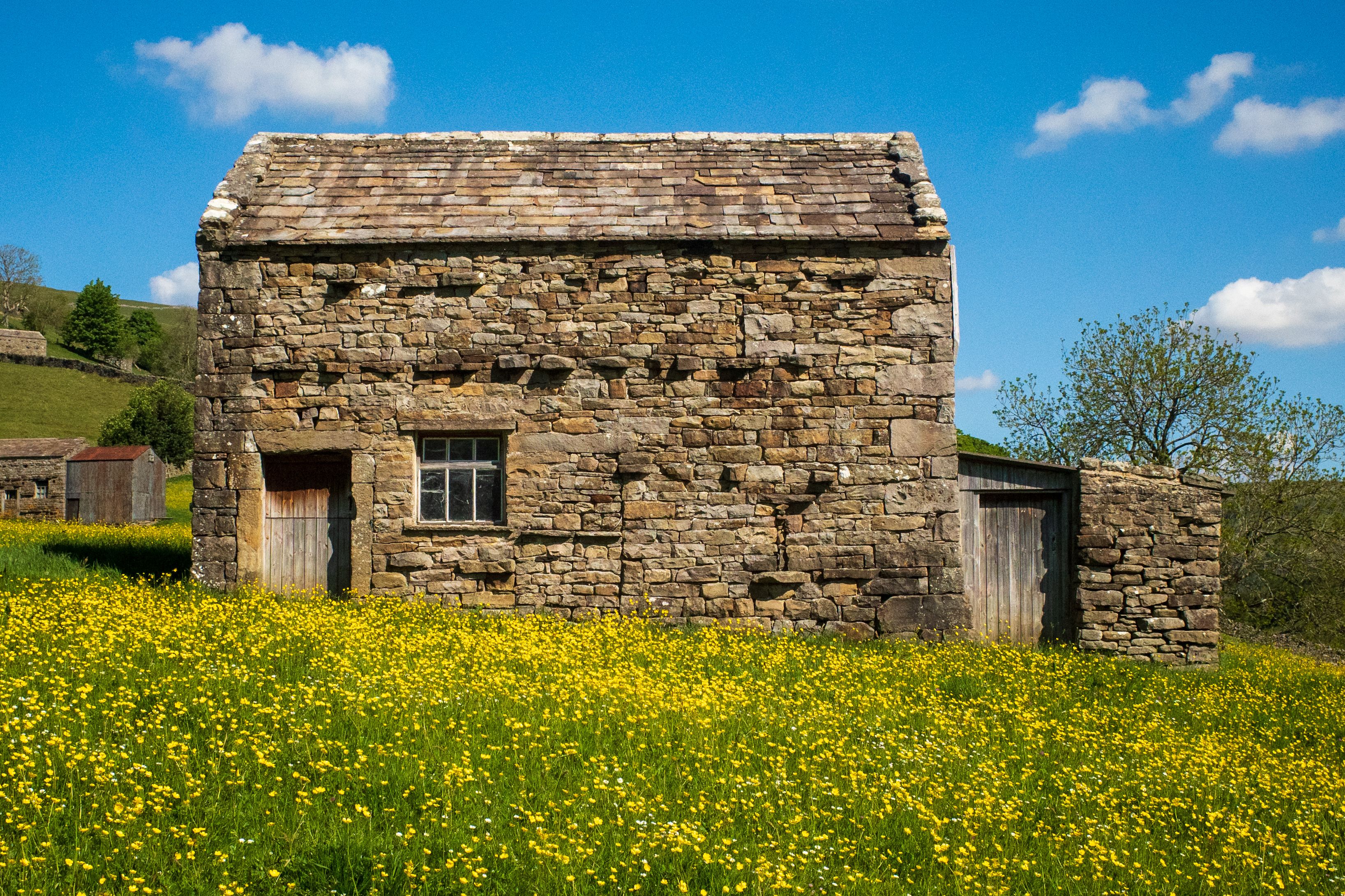Rustic Barn in Blooming Yorkshire Dales Field · Free Stock Photo