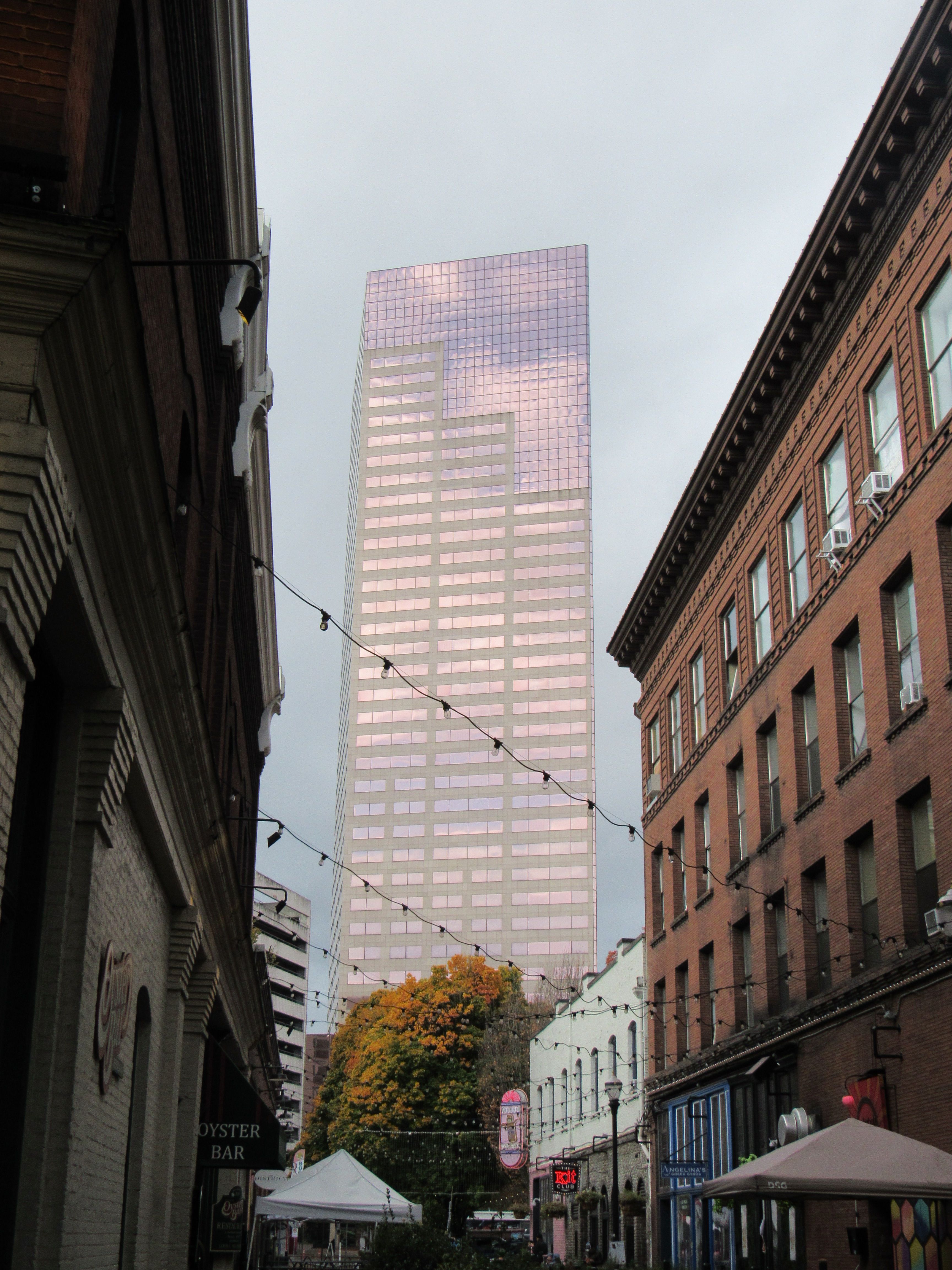 Downtown Portland High-Rise in Fall · Free Stock Photo