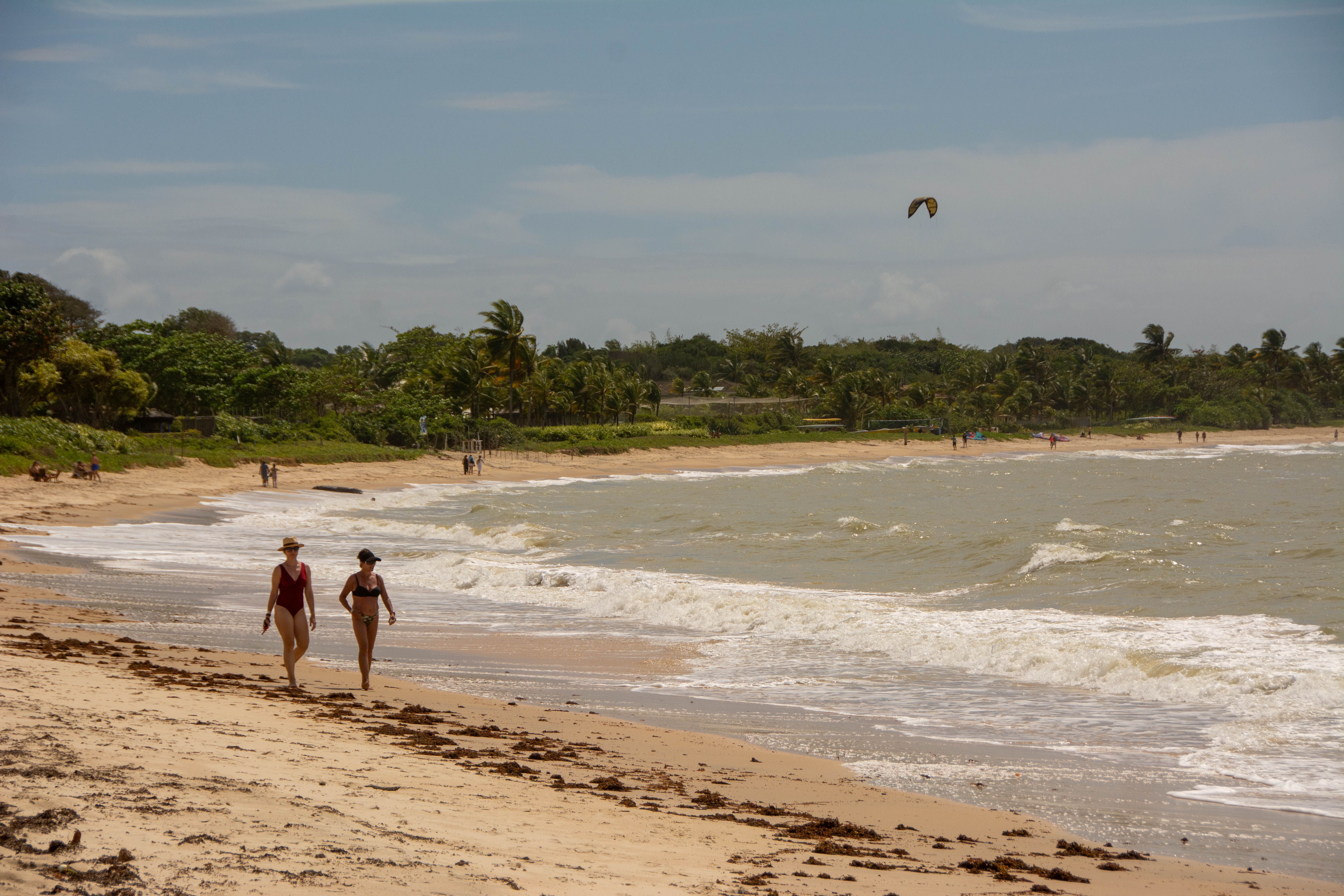 Sunny Beach Walk in Porto Seguro, Brazil · Free Stock Photo