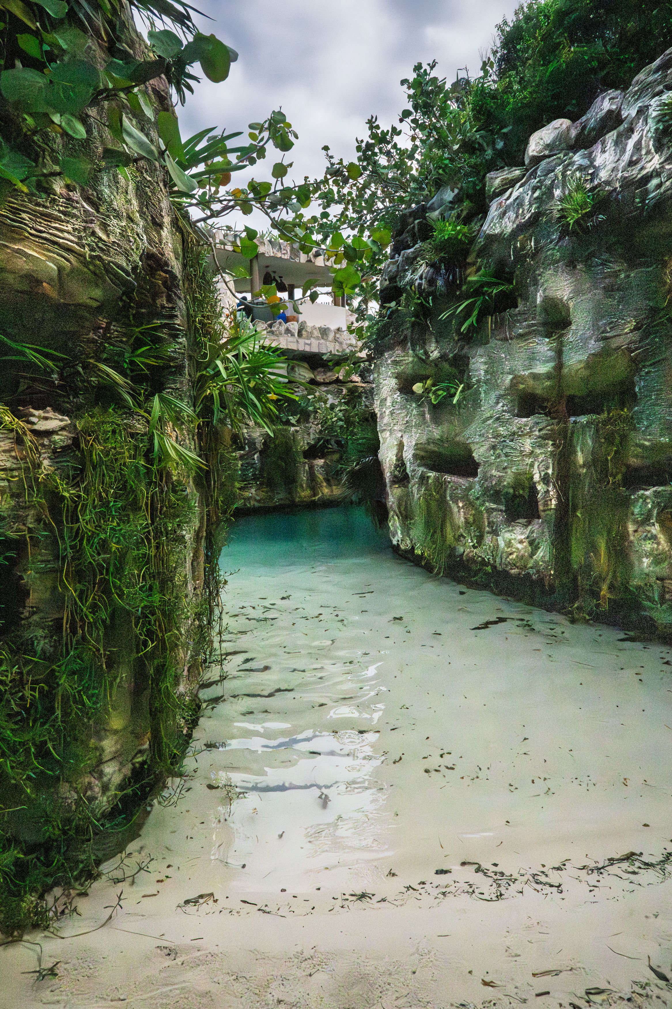 Scenic Natural Lagoon in Quintana Roo, México · Free Stock Photo