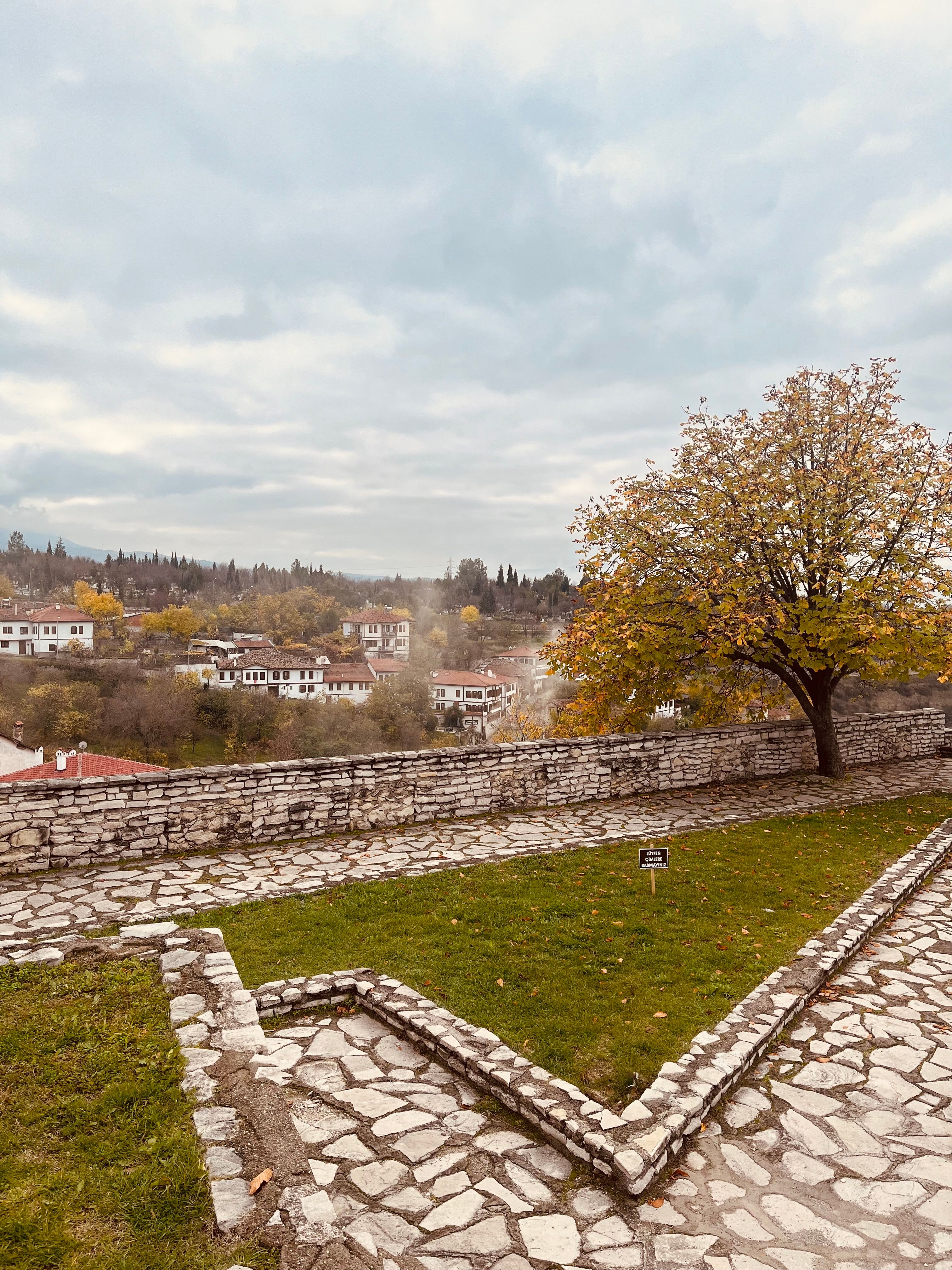 Scenic Fall Landscape with Tree and Stone Path · Free Stock Photo