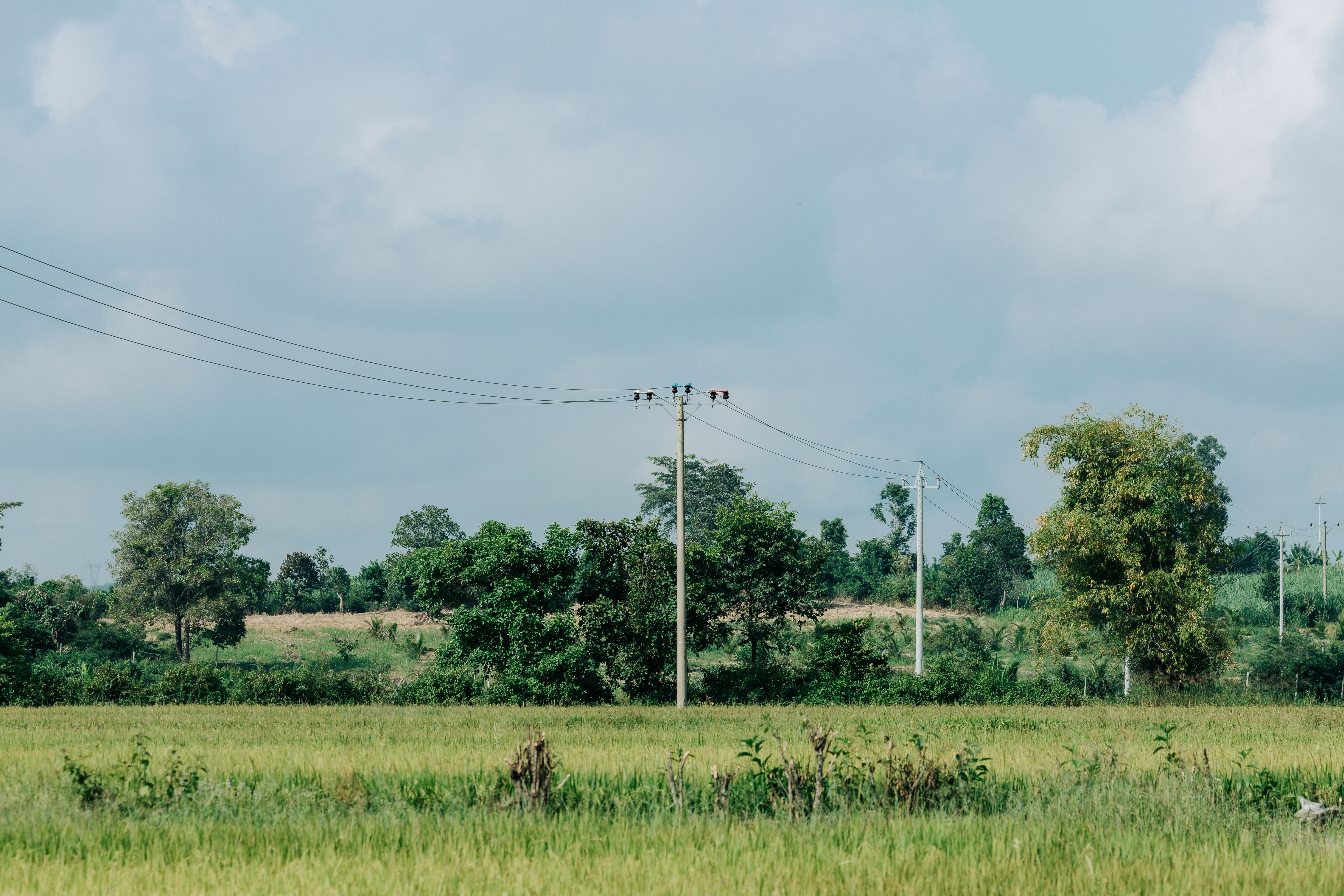 Lush Vietnamese Countryside with Power Lines · Free Stock Photo