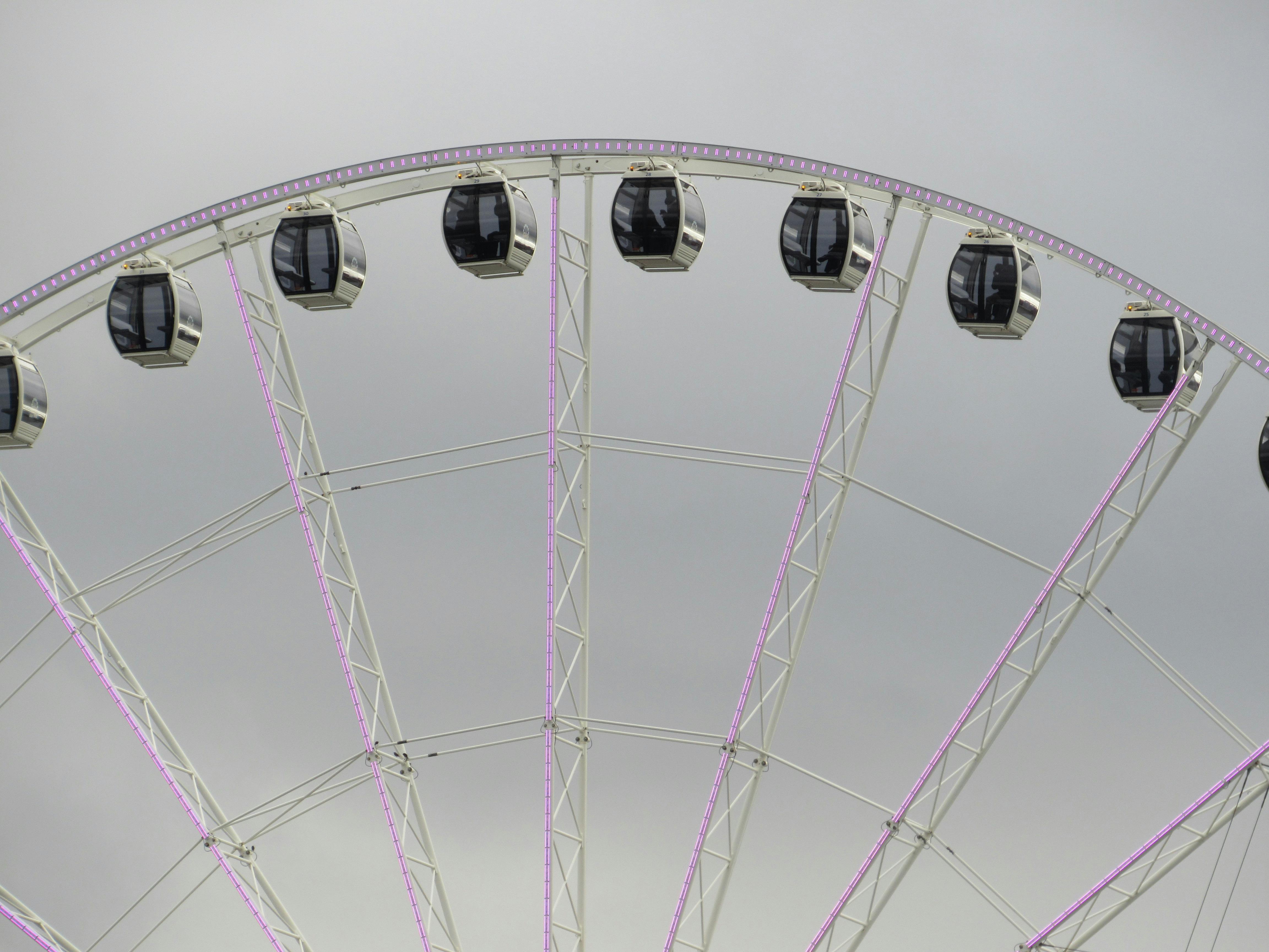 265.992+ Fotos y Imágenes de Cachorro+de+fogata+dress+to+impresss ...