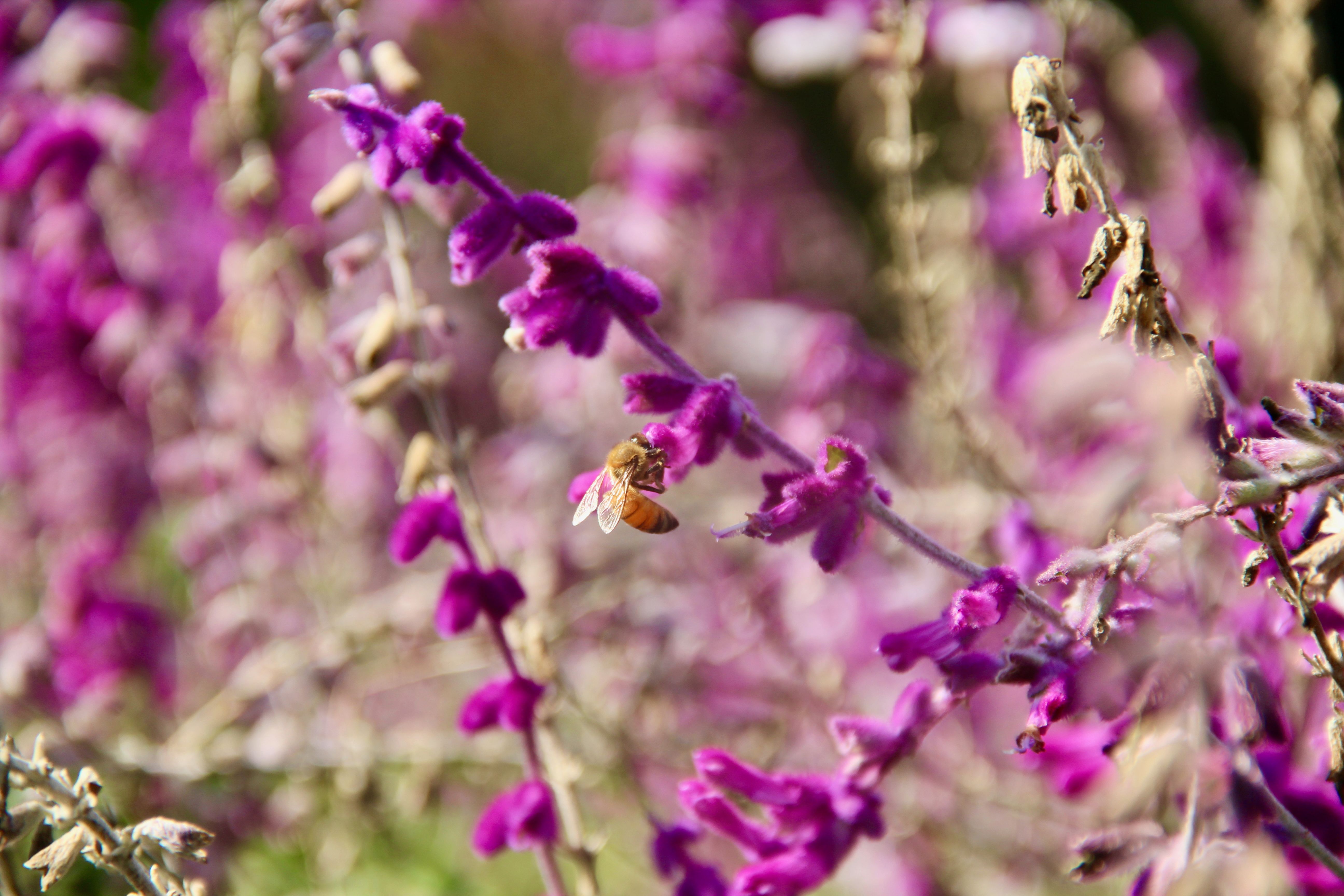 Purple+Blank+Pfp Photos, Download The BEST Free Purple+Blank+Pfp Stock ...