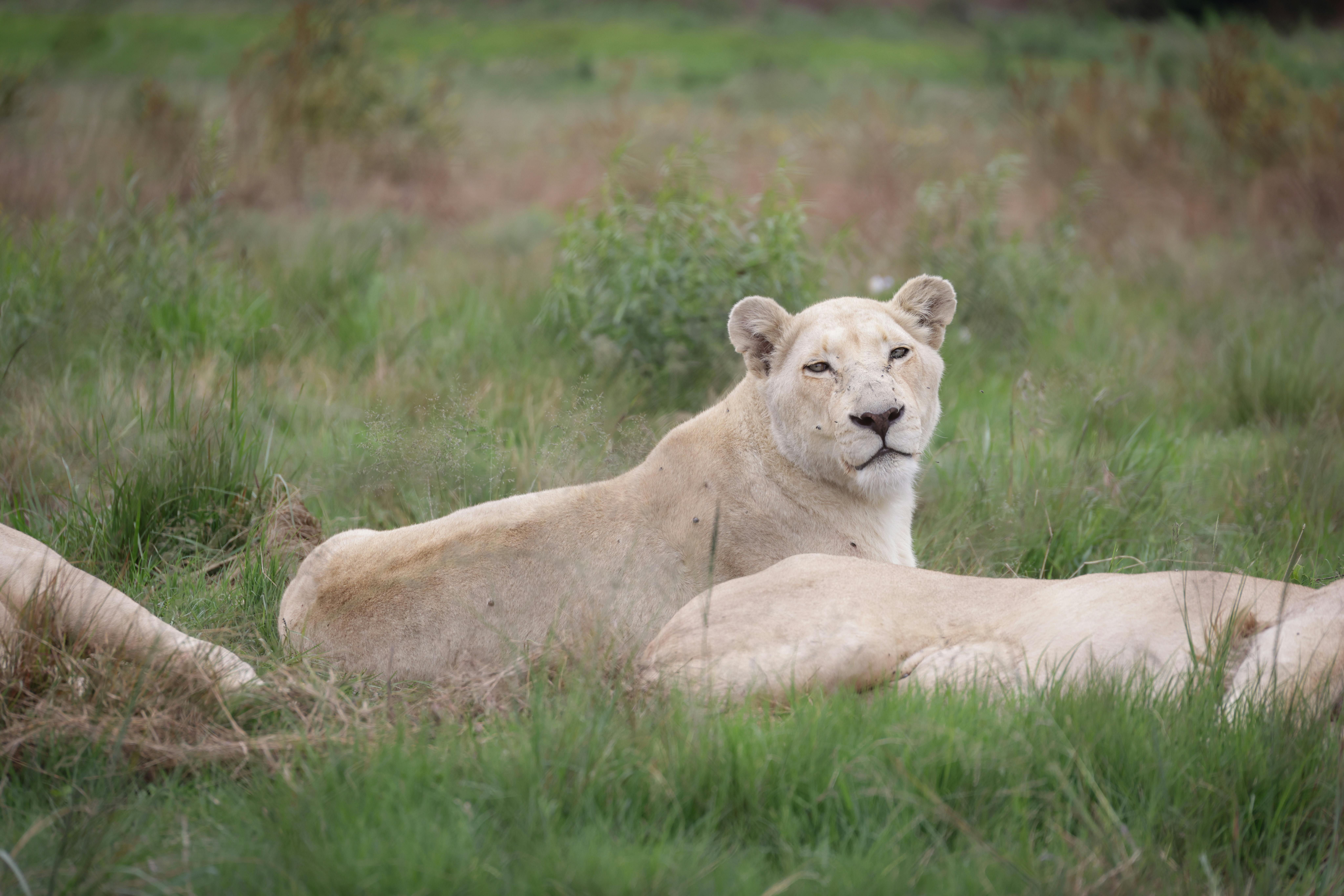 Aftab+Pureval+Family+Backgro Photos, Download The BEST Free Aftab ...