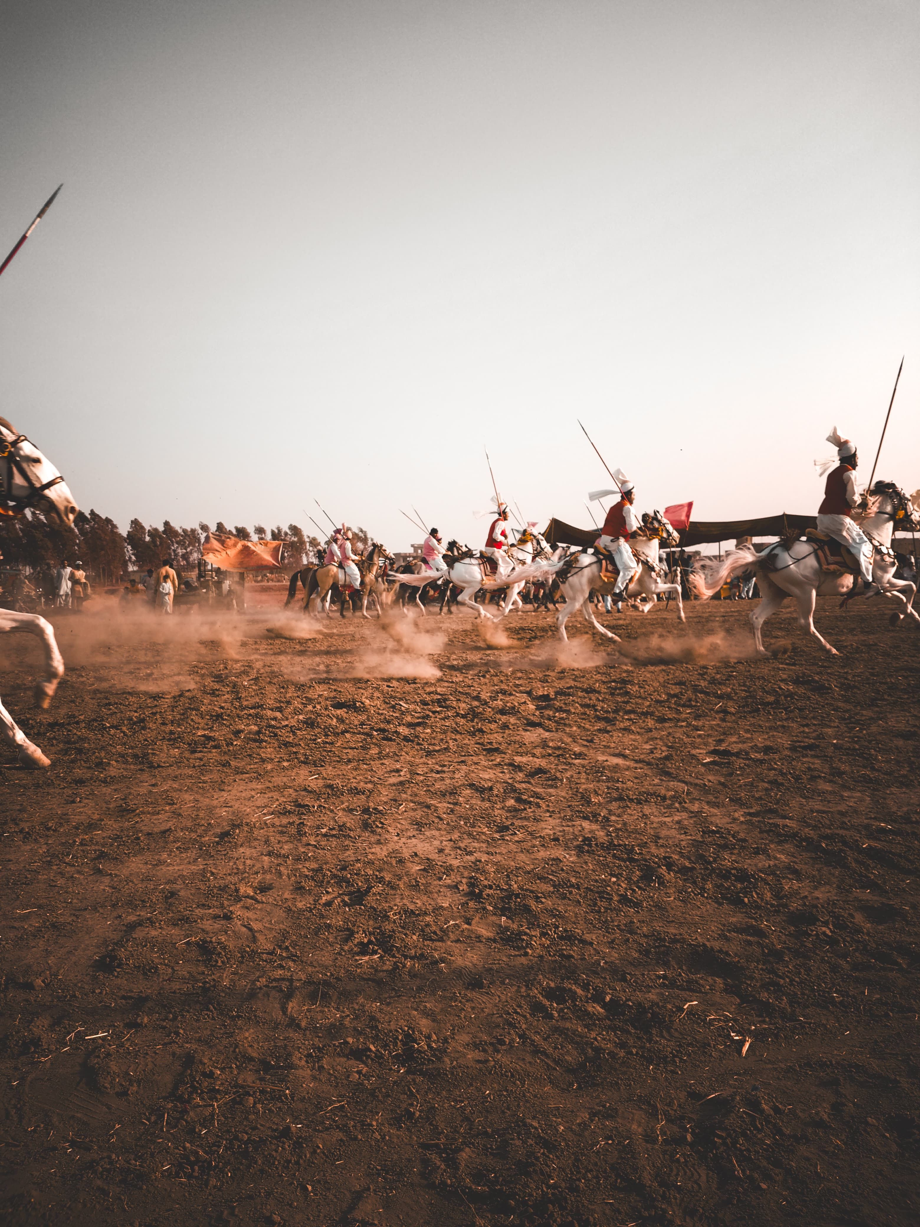 Punjab Shingar Horse Photos, Download The BEST Free Punjab Shingar ...